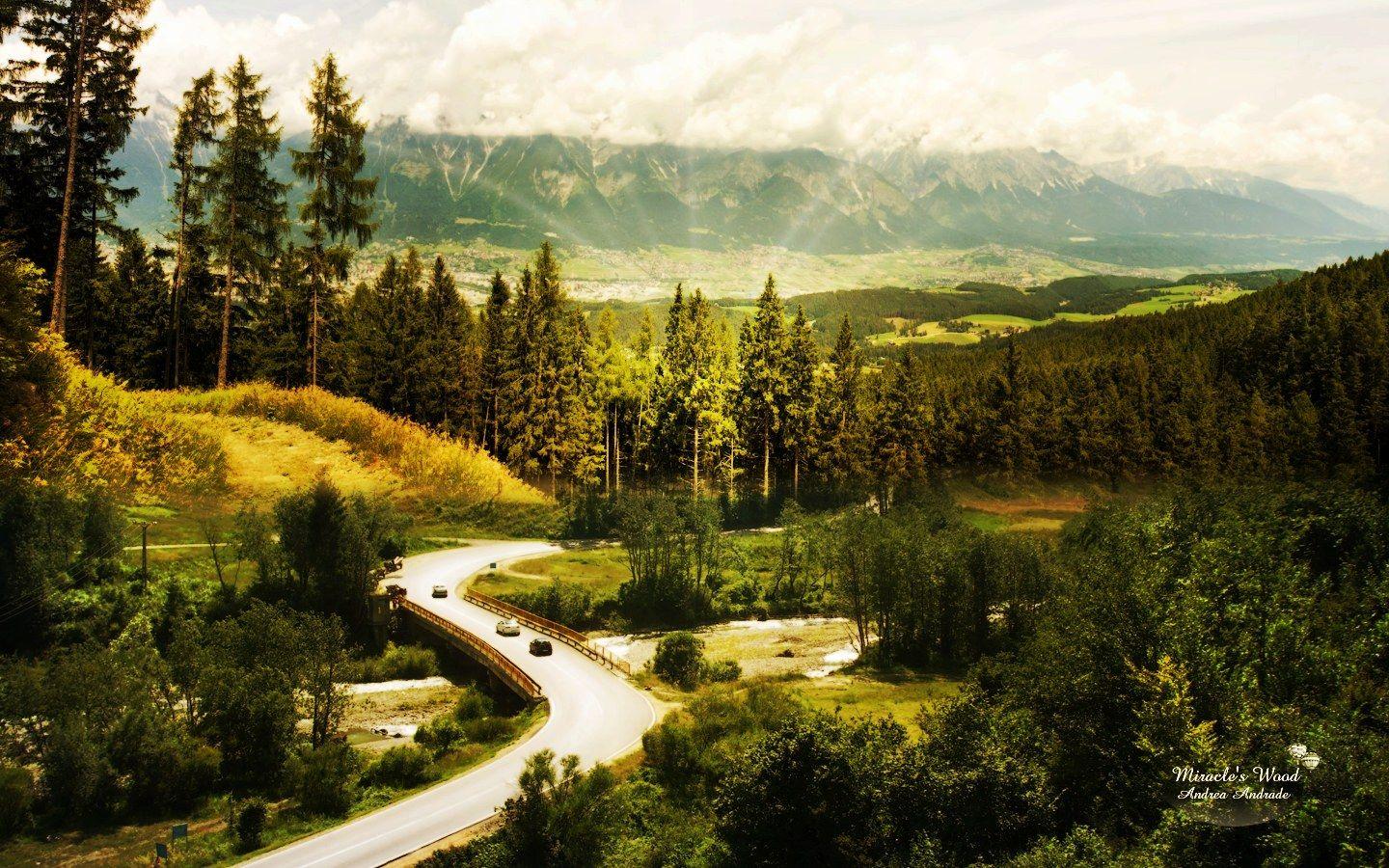 Wood Landscape Wallpapers - Top Free Wood Landscape Backgrounds ...