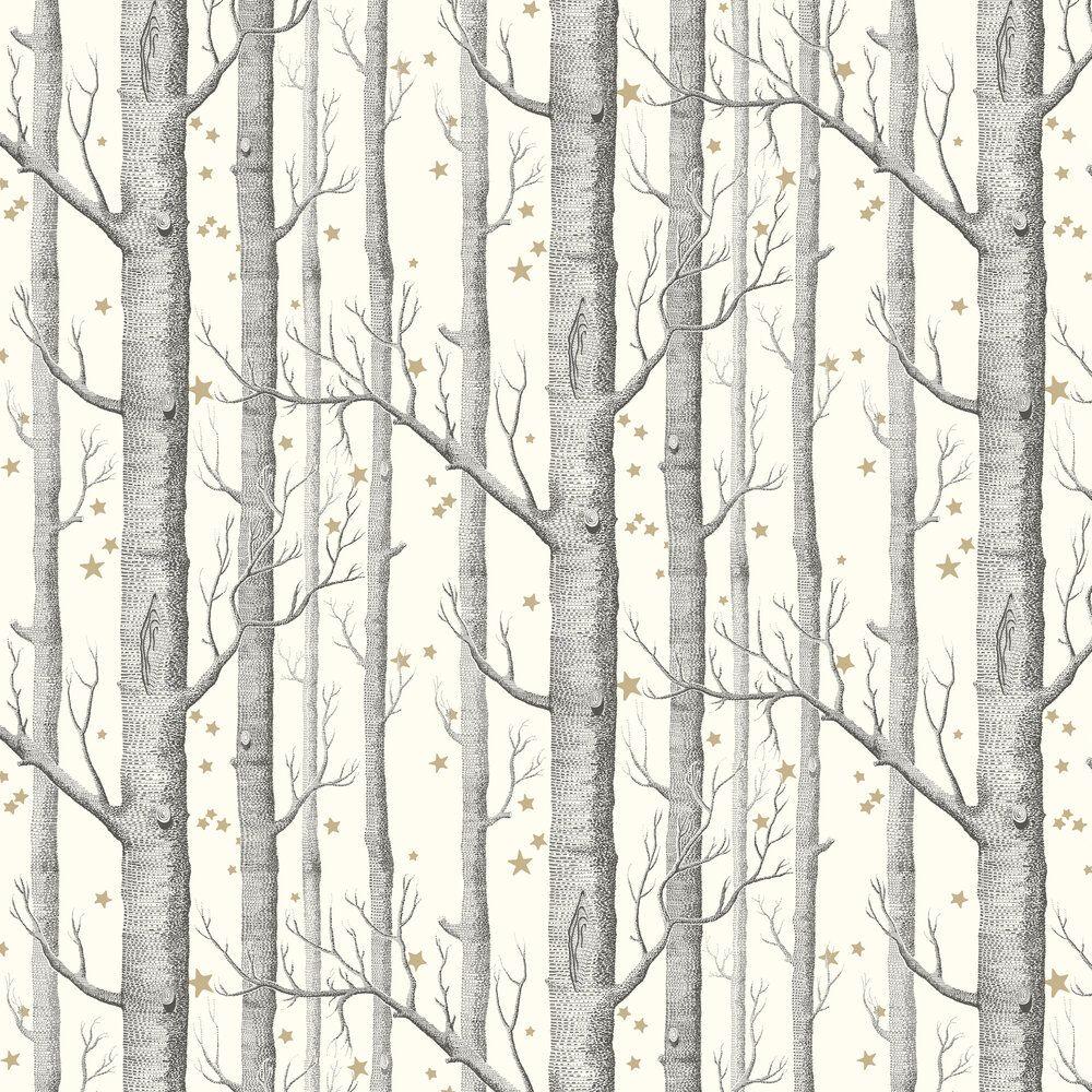 Grey Forest Wallpapers - Top Free Grey Forest Backgrounds - WallpaperAccess