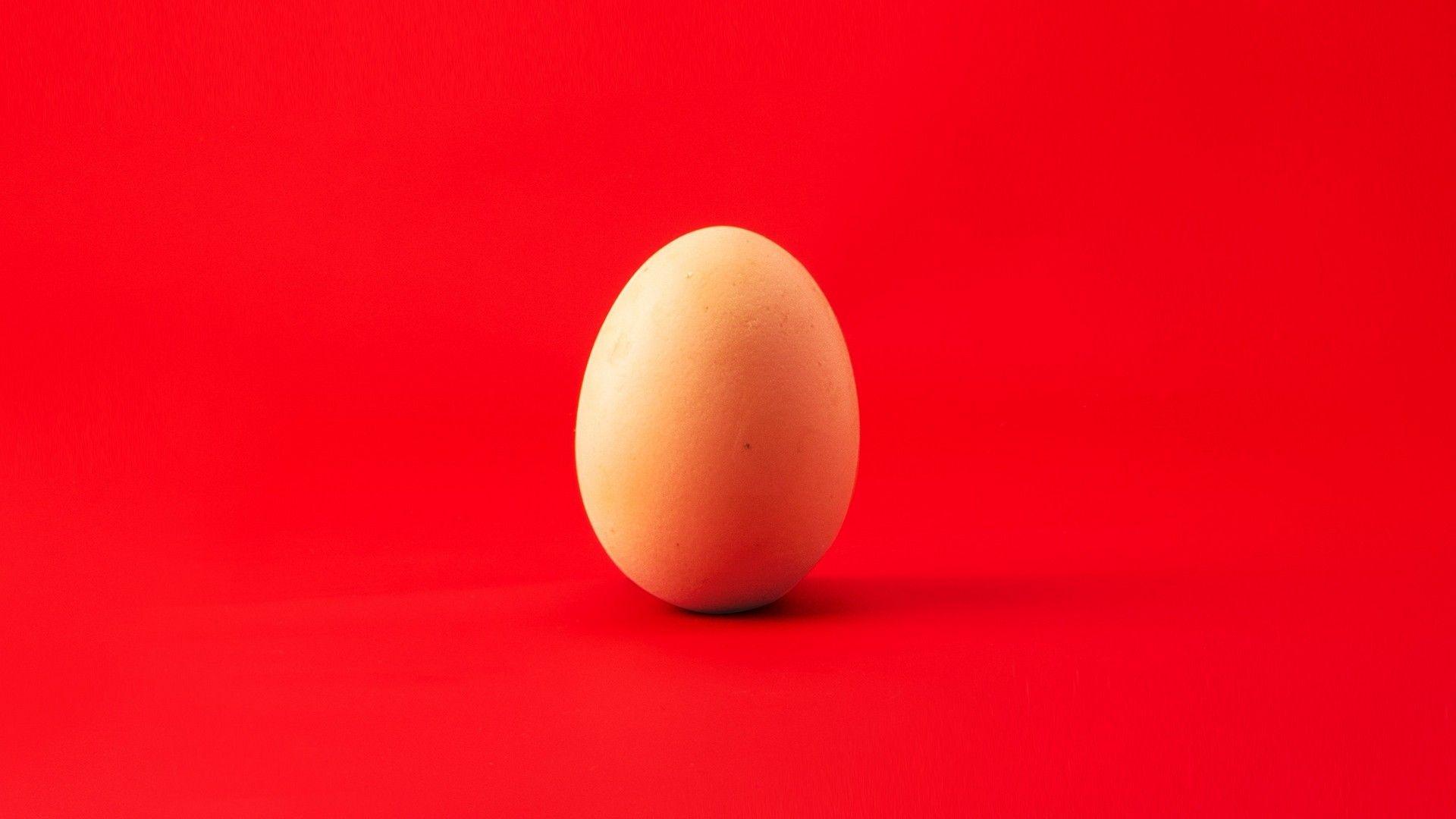 Minimalist Egg Wallpapers - Top Free Minimalist Egg Backgrounds ...