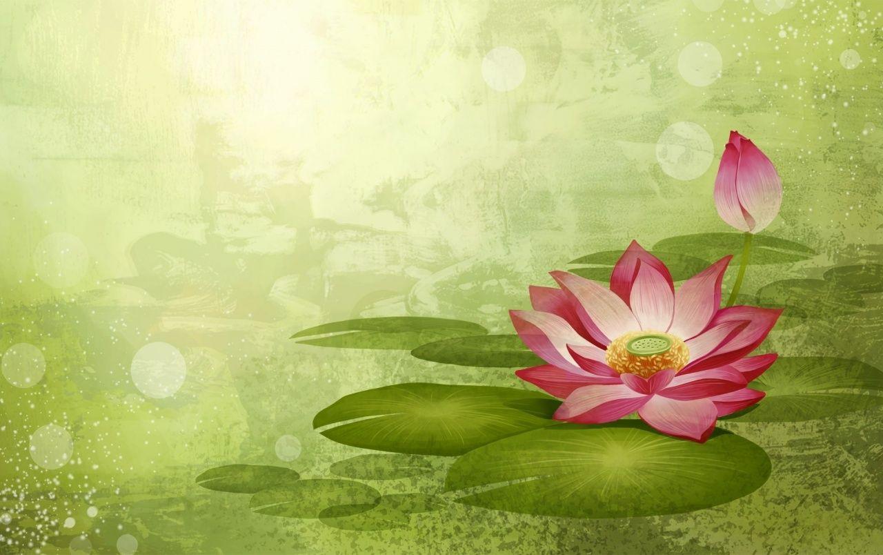Abstract Lotus Wallpapers - Top Free Abstract Lotus Backgrounds ...