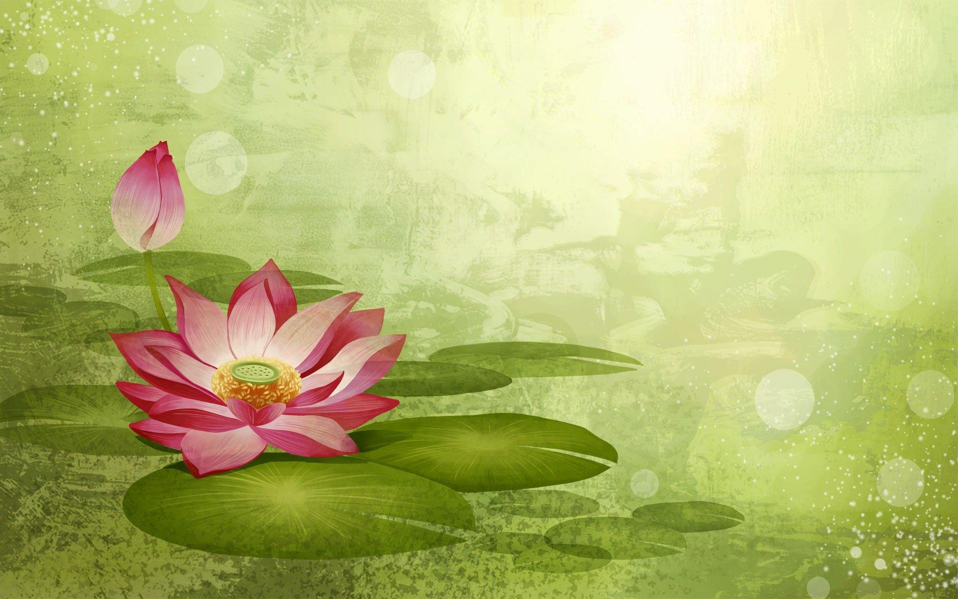 Abstract Lotus Wallpapers - Top Free Abstract Lotus Backgrounds ...