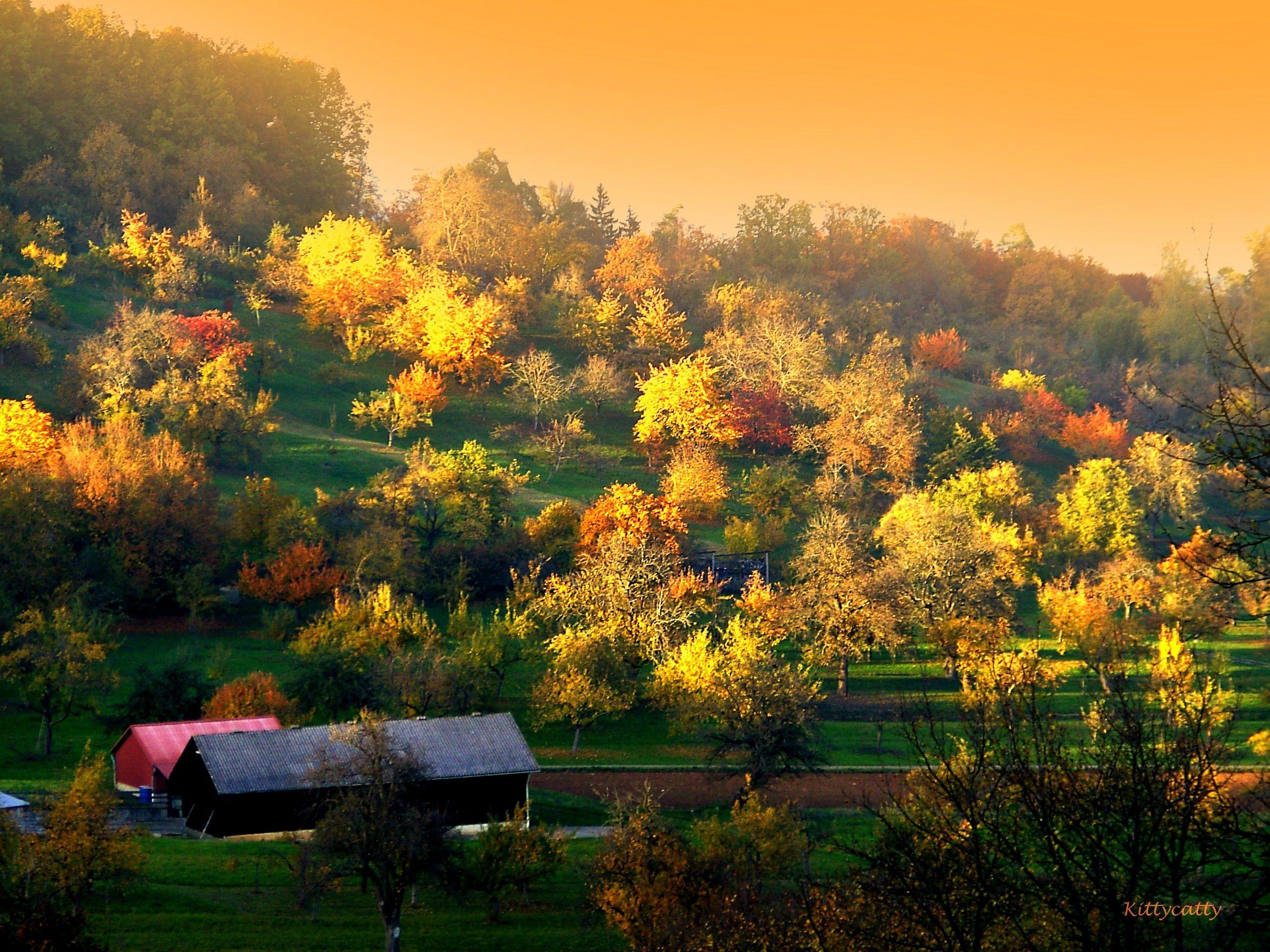 Indian Summer Wallpapers - Top Free Indian Summer Backgrounds ...
