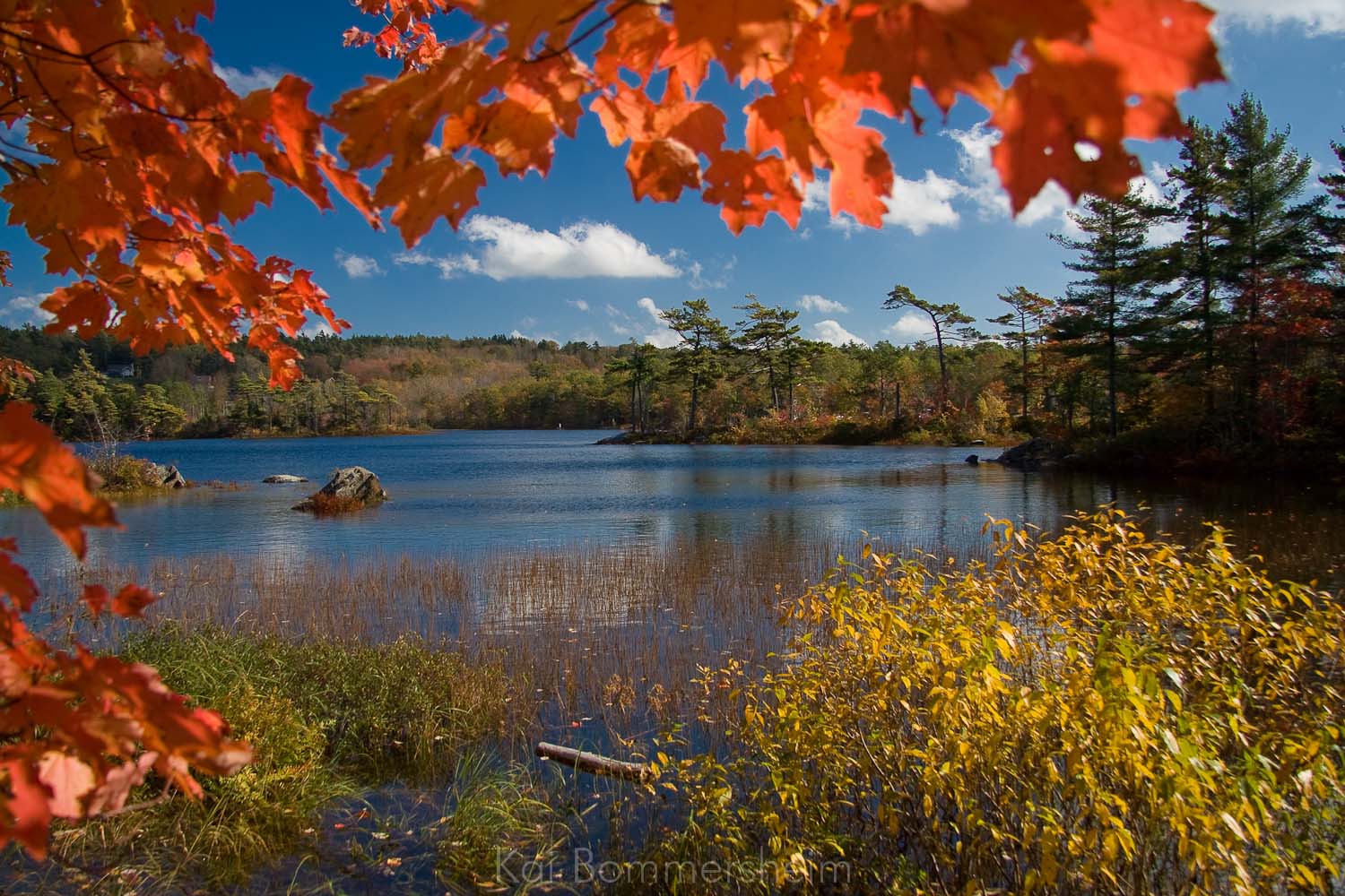 Indian Summer Wallpapers - Top Free Indian Summer Backgrounds ...