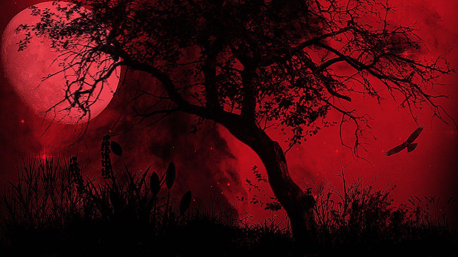 Bloody Face Wallpapers - Top Free Bloody Face Backgrounds - WallpaperAccess