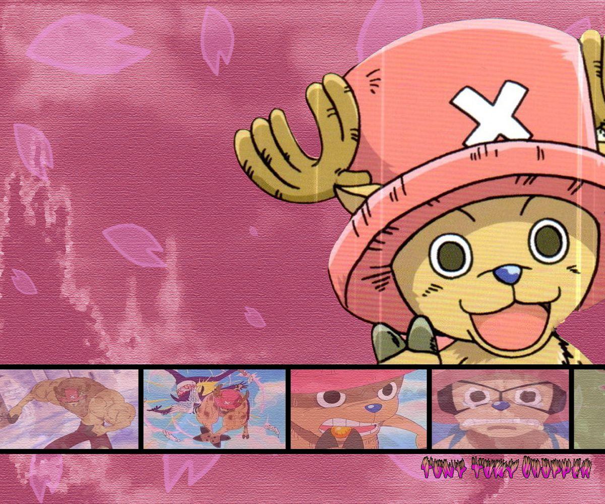 One Piece Chopper Wallpapers - Top Free One Piece Chopper Backgrounds ...
