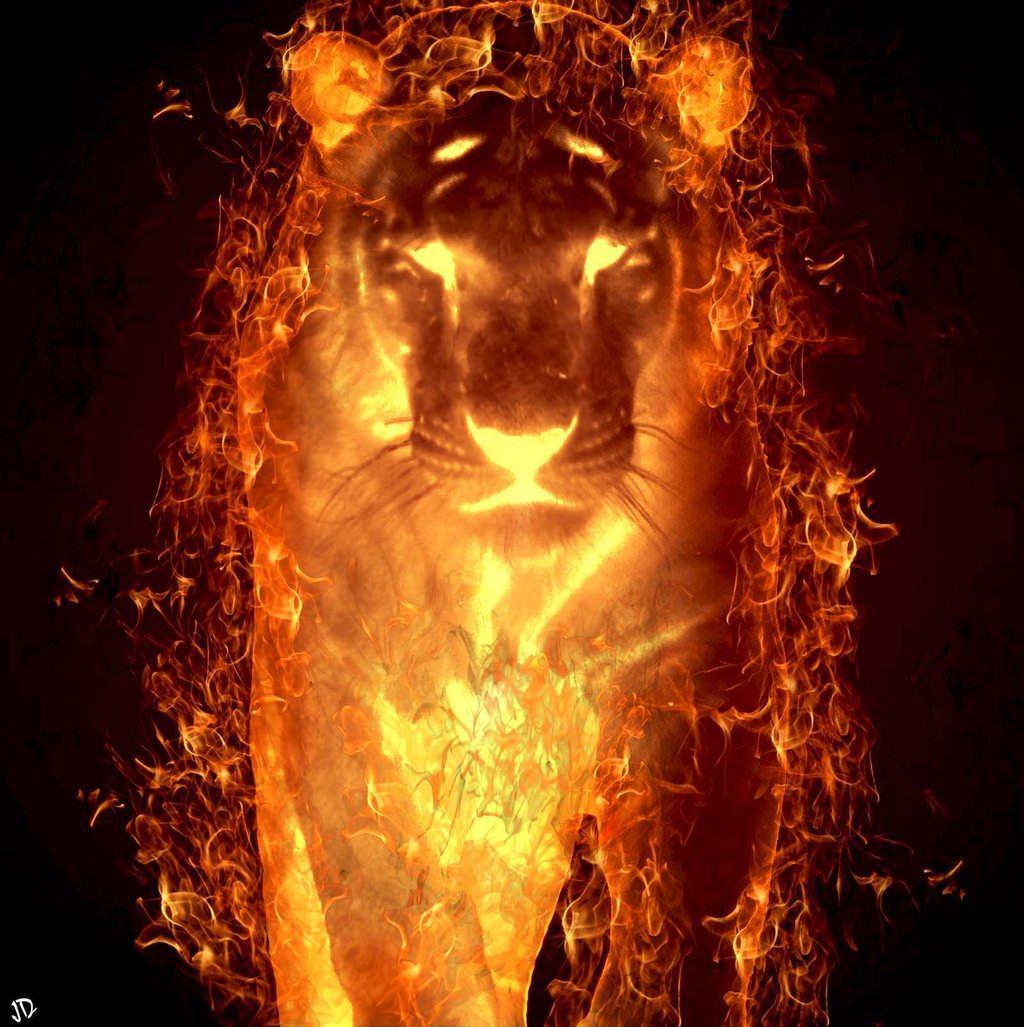 Flame Tiger Wallpapers - Top Free Flame Tiger Backgrounds - WallpaperAccess