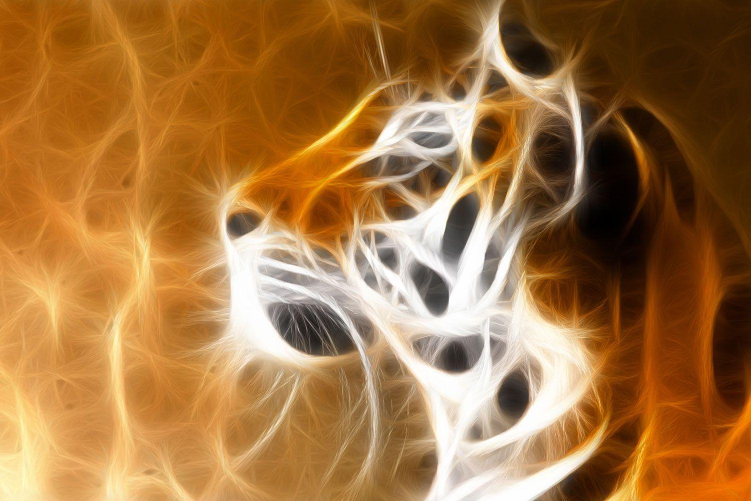Flame Tiger Wallpapers - Top Free Flame Tiger Backgrounds - WallpaperAccess