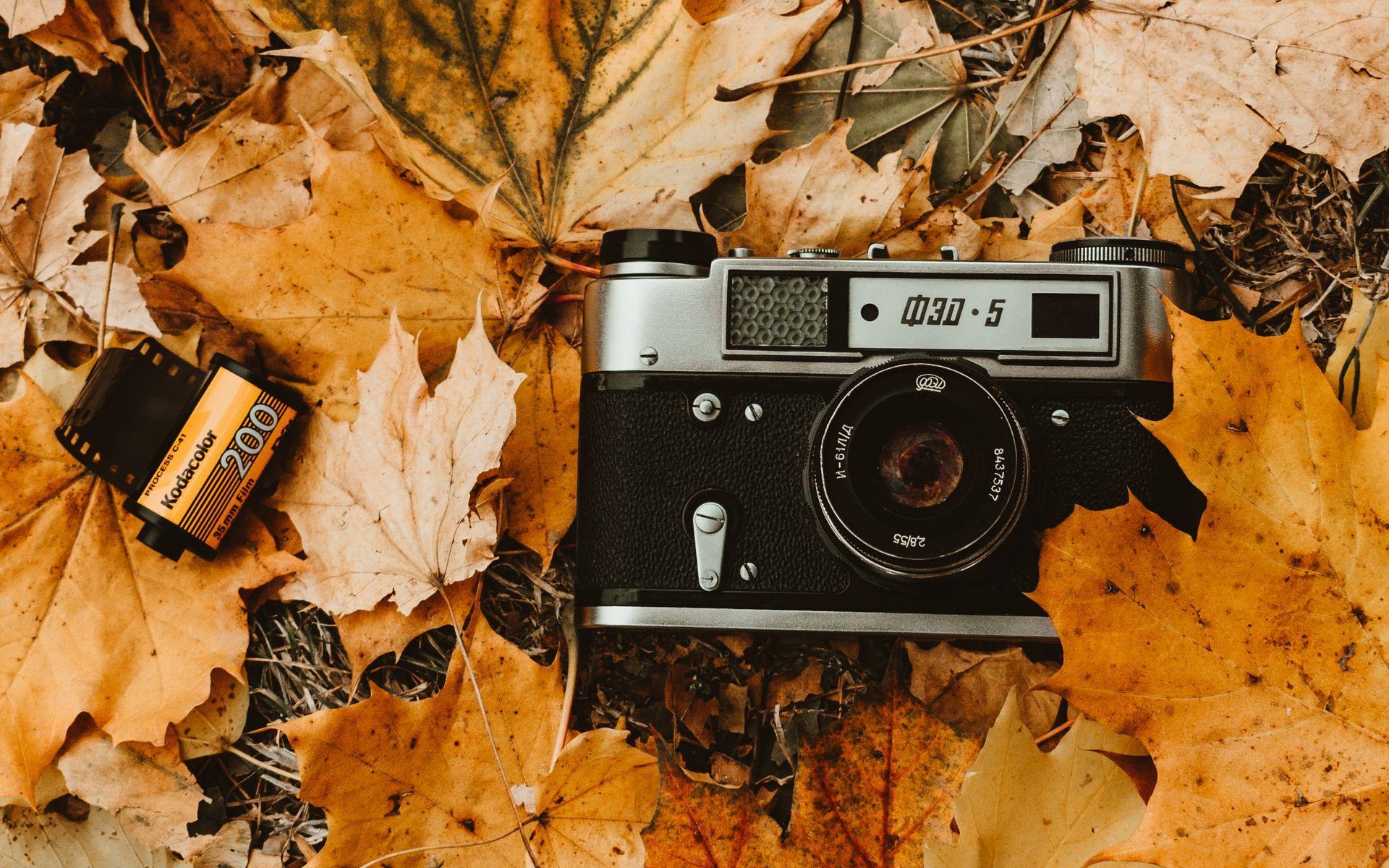 Vintage Film Wallpapers - Top Free Vintage Film Backgrounds ...
