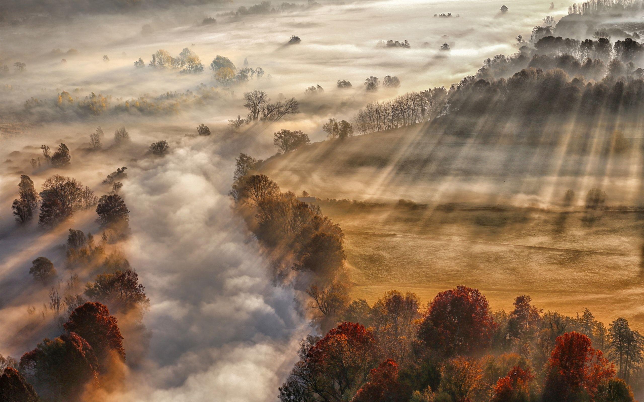 Autumn Fog Wallpapers - Top Free Autumn Fog Backgrounds - WallpaperAccess