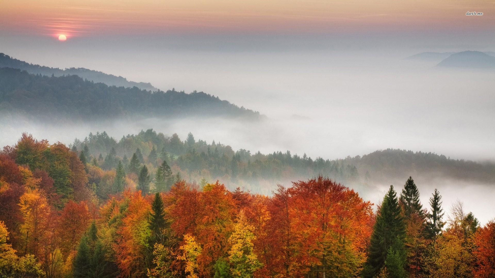 Autumn Fog Wallpapers - Top Free Autumn Fog Backgrounds - WallpaperAccess