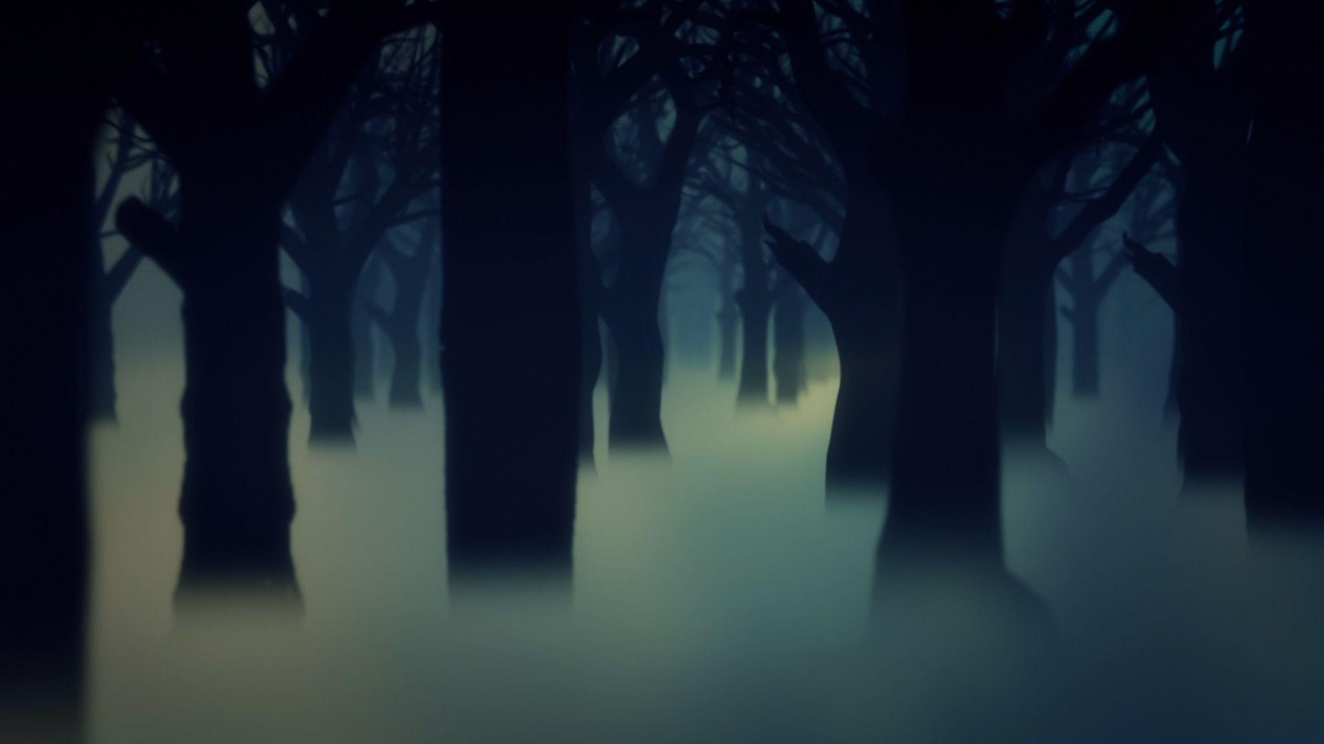 Dark Forest Fog Wallpapers - Top Free Dark Forest Fog Backgrounds ...