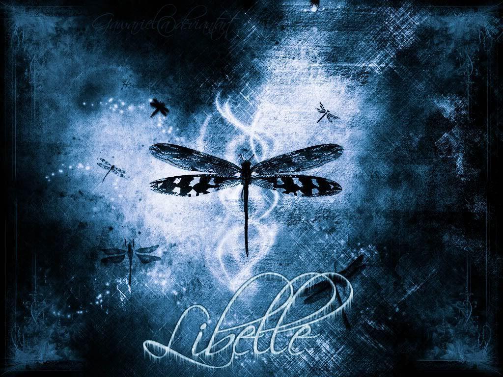 Dragonfly Desktop Wallpapers - Top Free Dragonfly Desktop Backgrounds ...