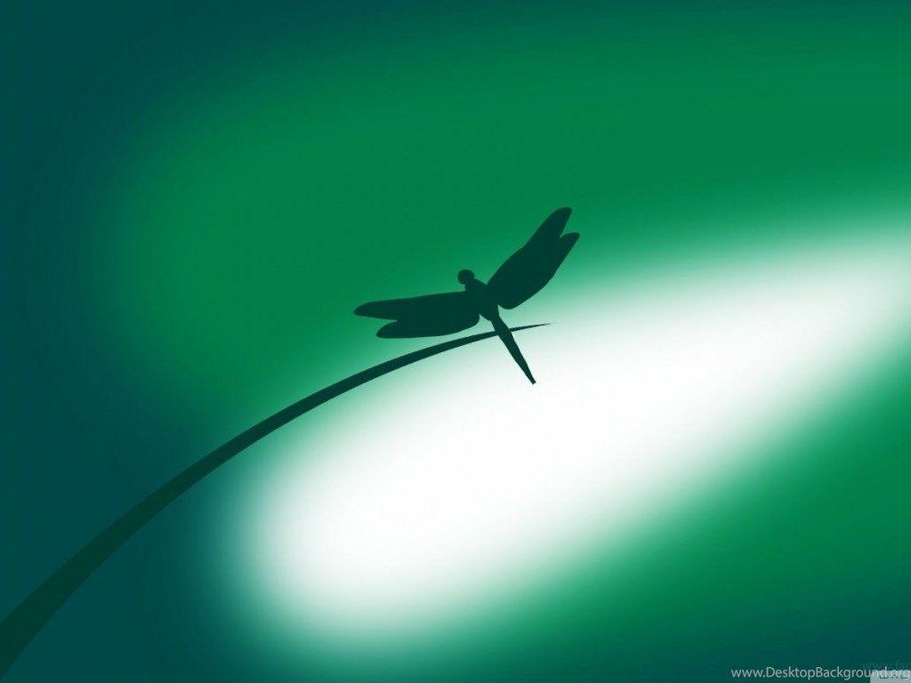 Dragonfly Desktop Wallpapers - Top Free Dragonfly Desktop Backgrounds ...