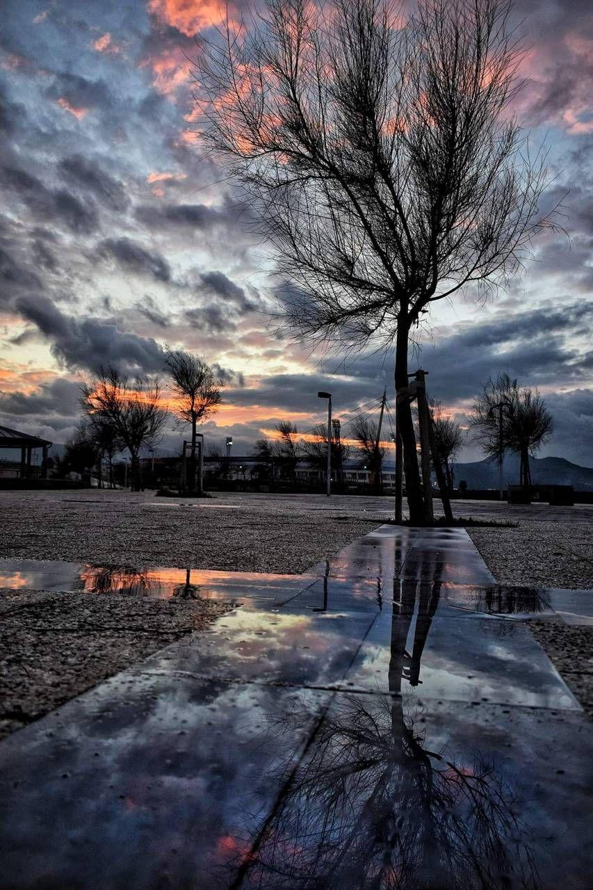 Neon Autumn Wallpapers - Top Free Neon Autumn Backgrounds - WallpaperAccess