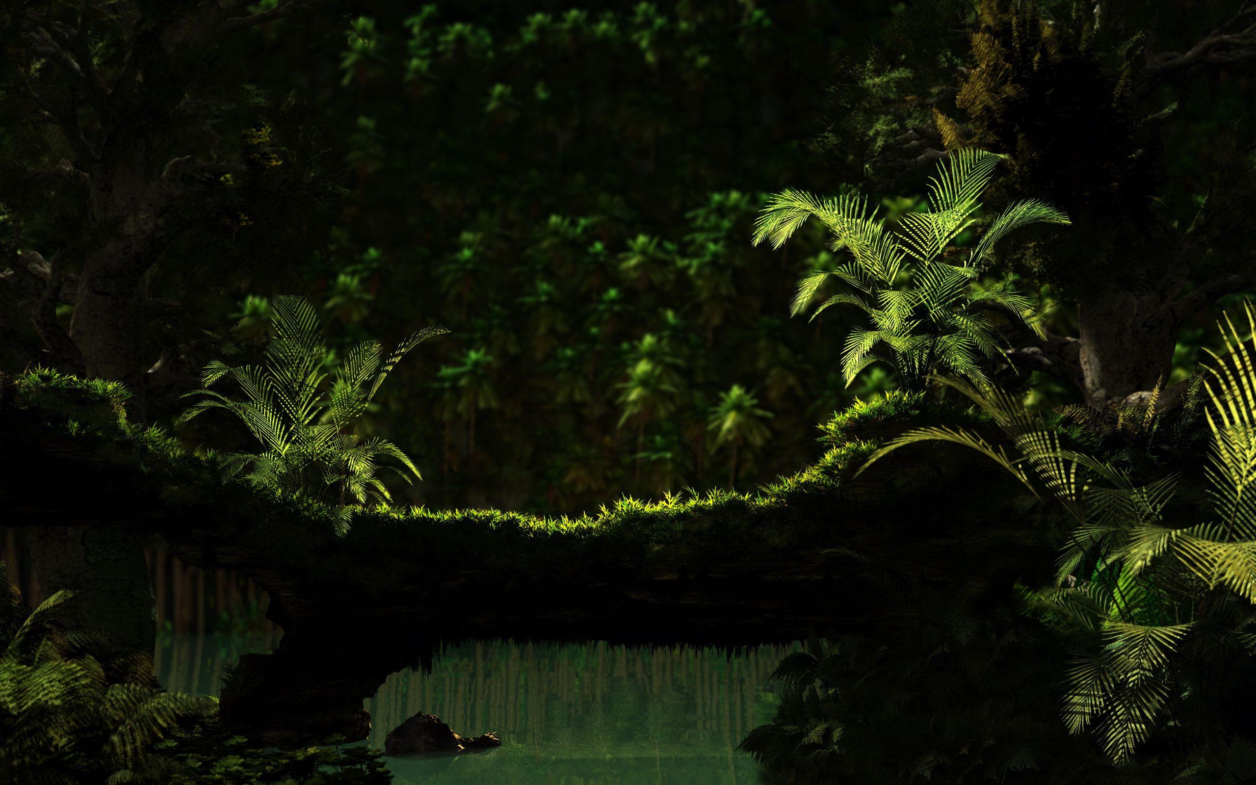 Jungle Night Wallpapers - Top Free Jungle Night Backgrounds ...