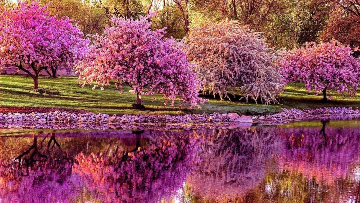 1360 X 768 Spring Wallpapers - Top Free 1360 X 768 Spring Backgrounds ... 1360 X 768 Spring Wallpapers - Top Free 1360 X 768 Spring Backgrounds ...