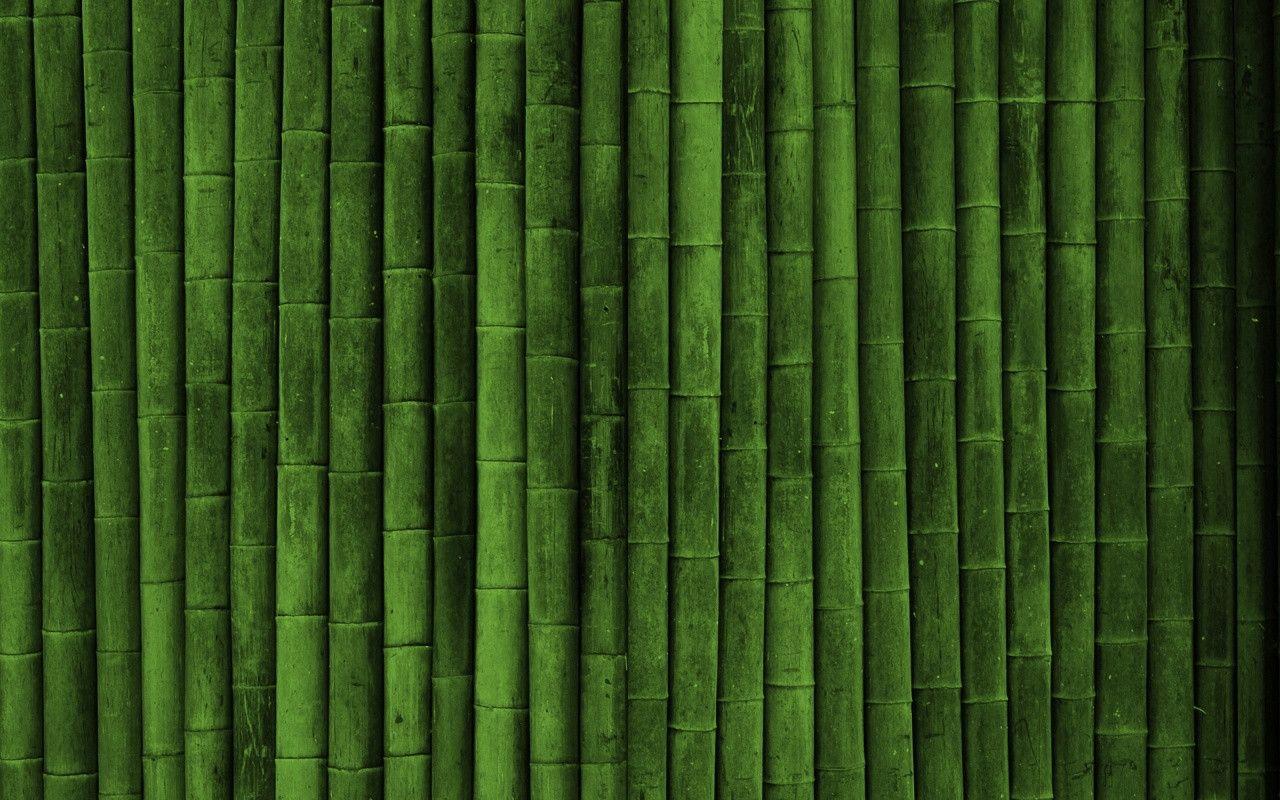 Bamboo 4K Wallpapers - Top Free Bamboo 4K Backgrounds - WallpaperAccess