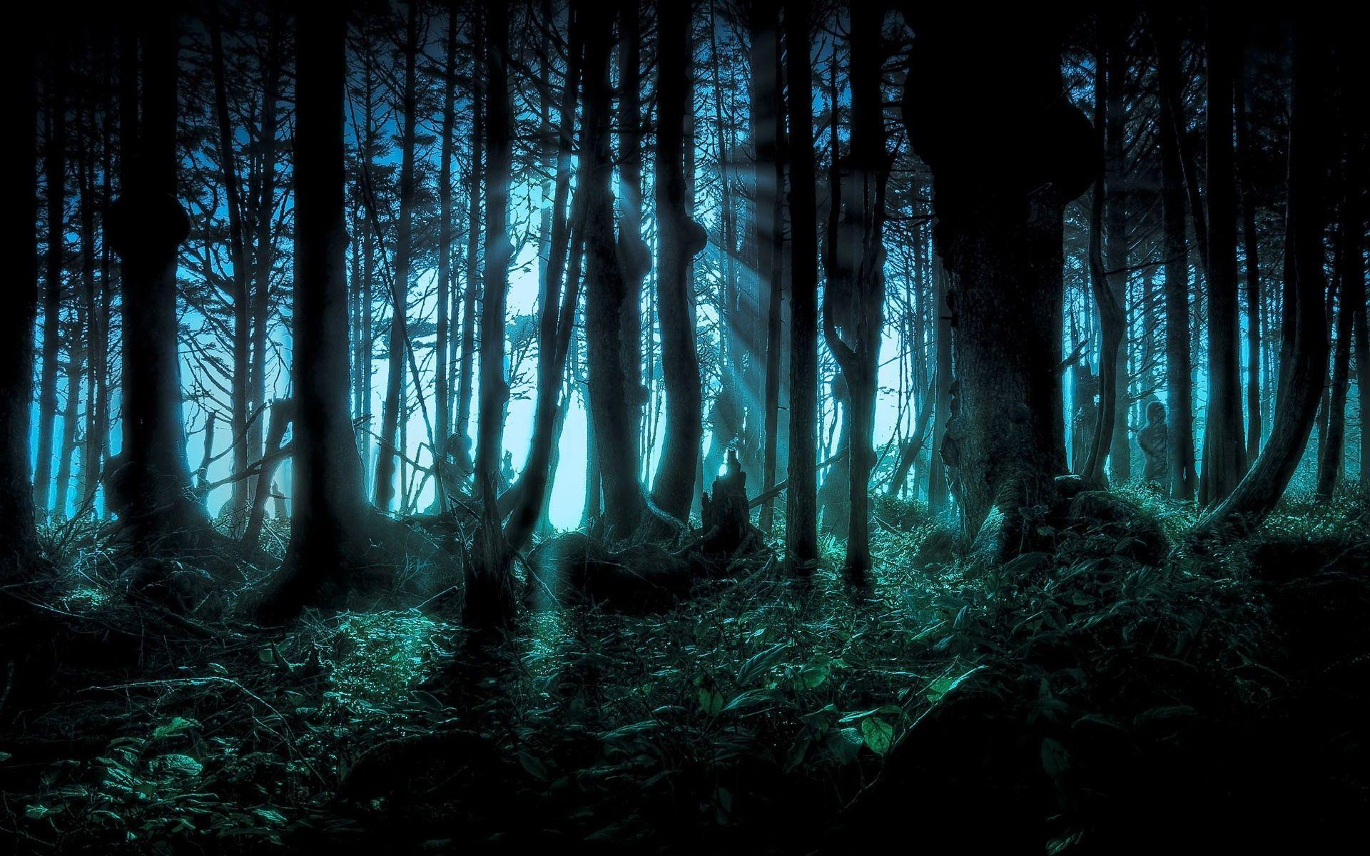 Dark Green Landscape Wallpapers - Top Free Dark Green Landscape ...