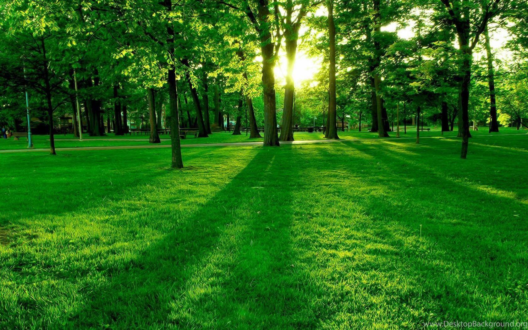 Dark Green Landscape Wallpapers - Top Free Dark Green Landscape ...
