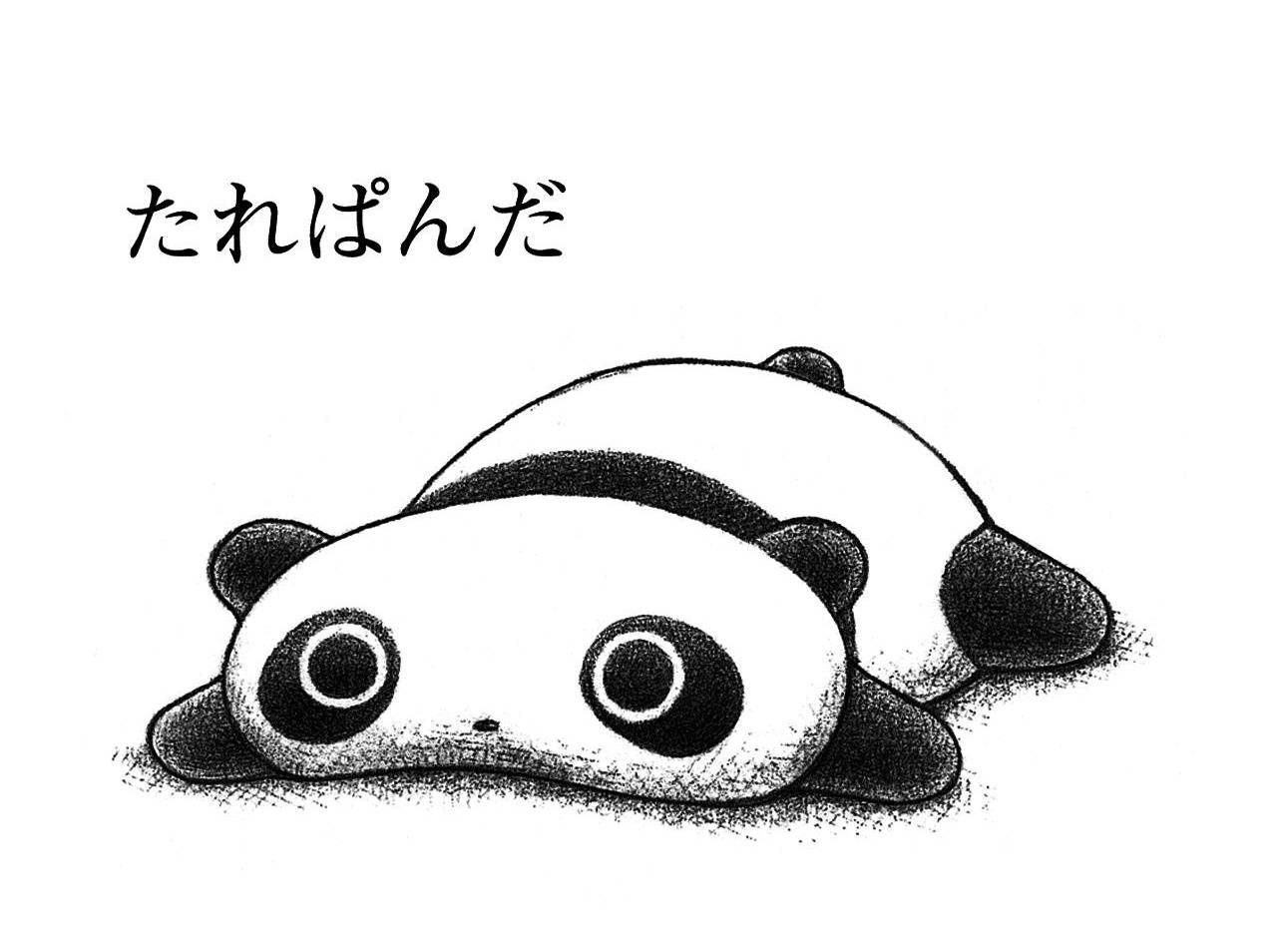 Lazy Panda Wallpapers - Top Free Lazy Panda Backgrounds - WallpaperAccess