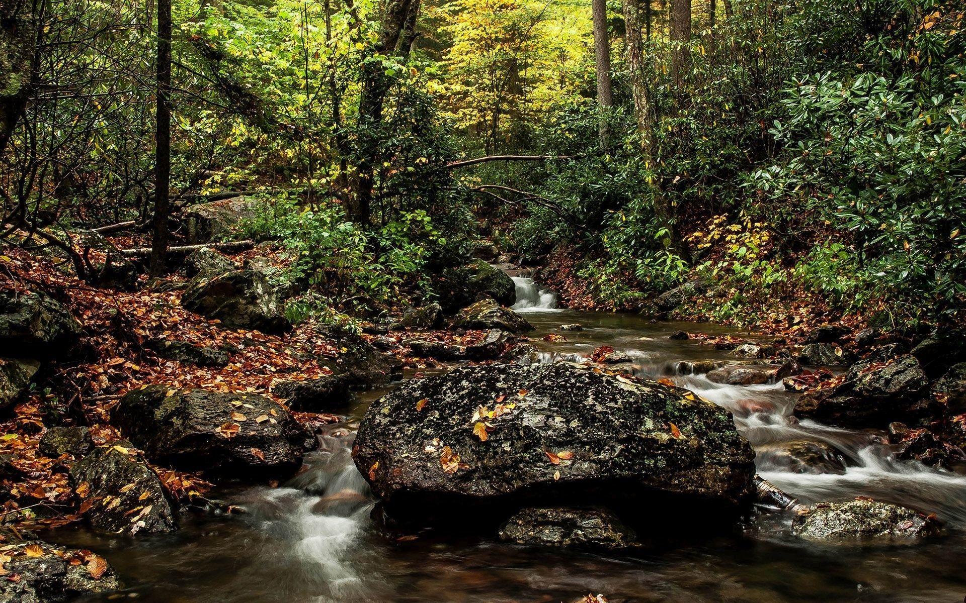 Live Stream Wallpapers - Top Free Live Stream Backgrounds - WallpaperAccess