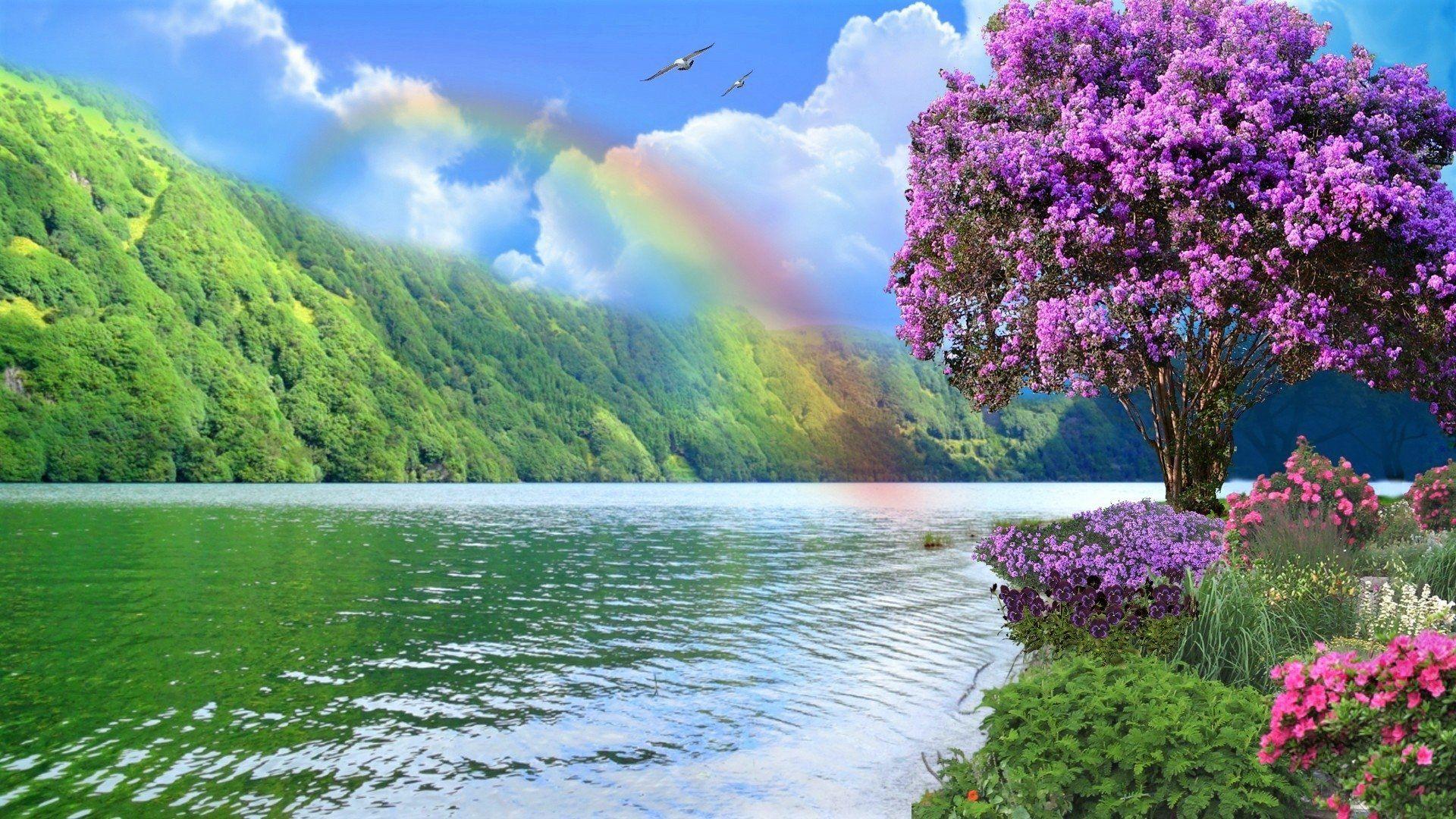 Spring Lake Wallpapers - Top Free Spring Lake Backgrounds - WallpaperAccess