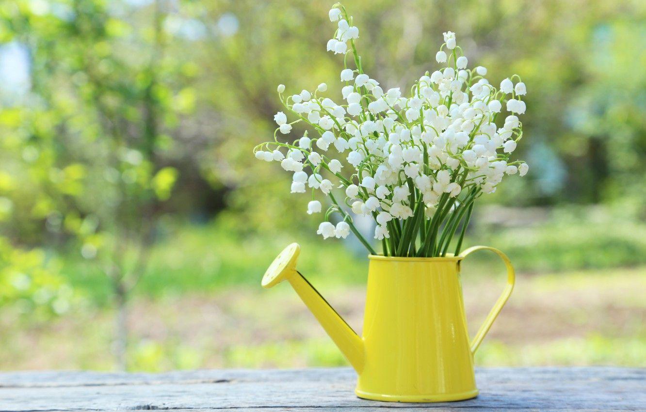 Spring Lake Wallpapers - Top Free Spring Lake Backgrounds - WallpaperAccess