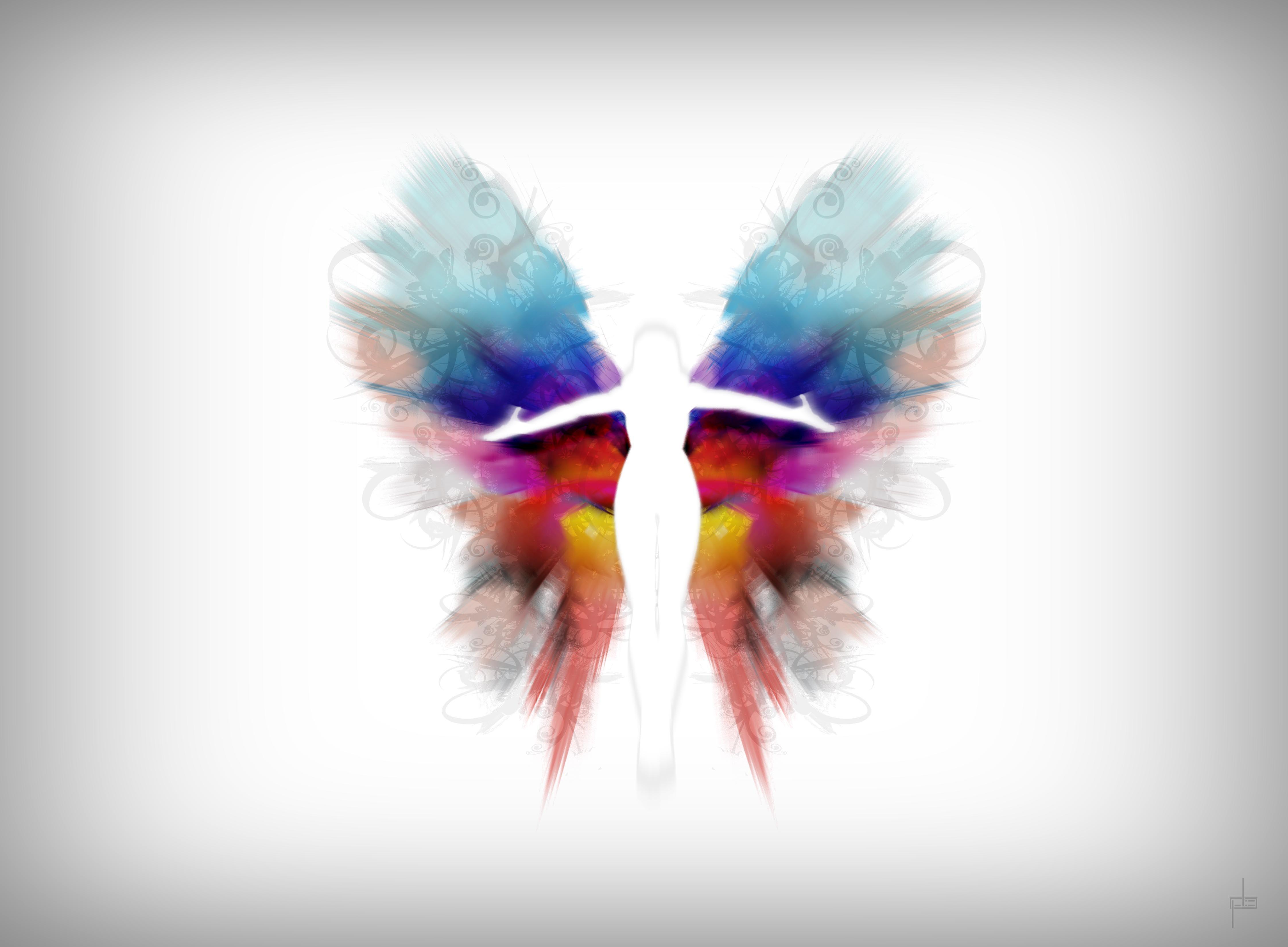 Metamorphosis Wallpapers - Top Free Metamorphosis Backgrounds ...