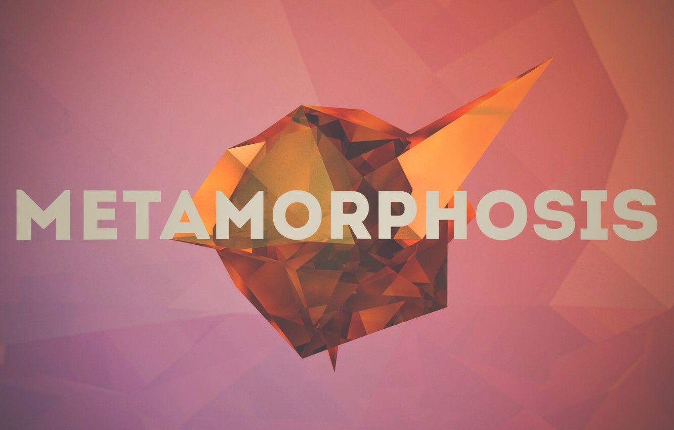Metamorphosis Wallpapers - Top Free Metamorphosis Backgrounds ...