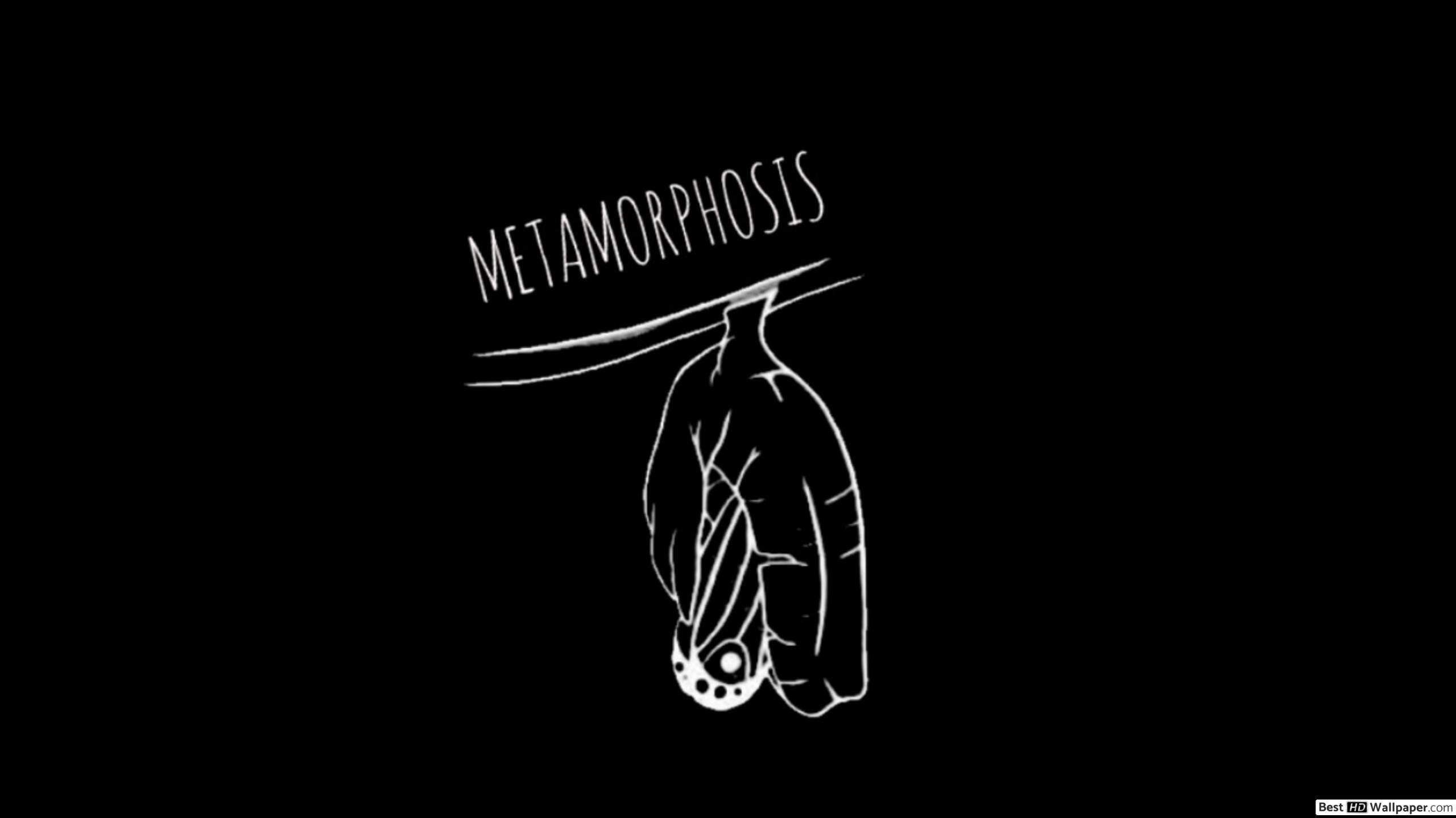 Metamorphosis Wallpapers - Top Free Metamorphosis Backgrounds ...