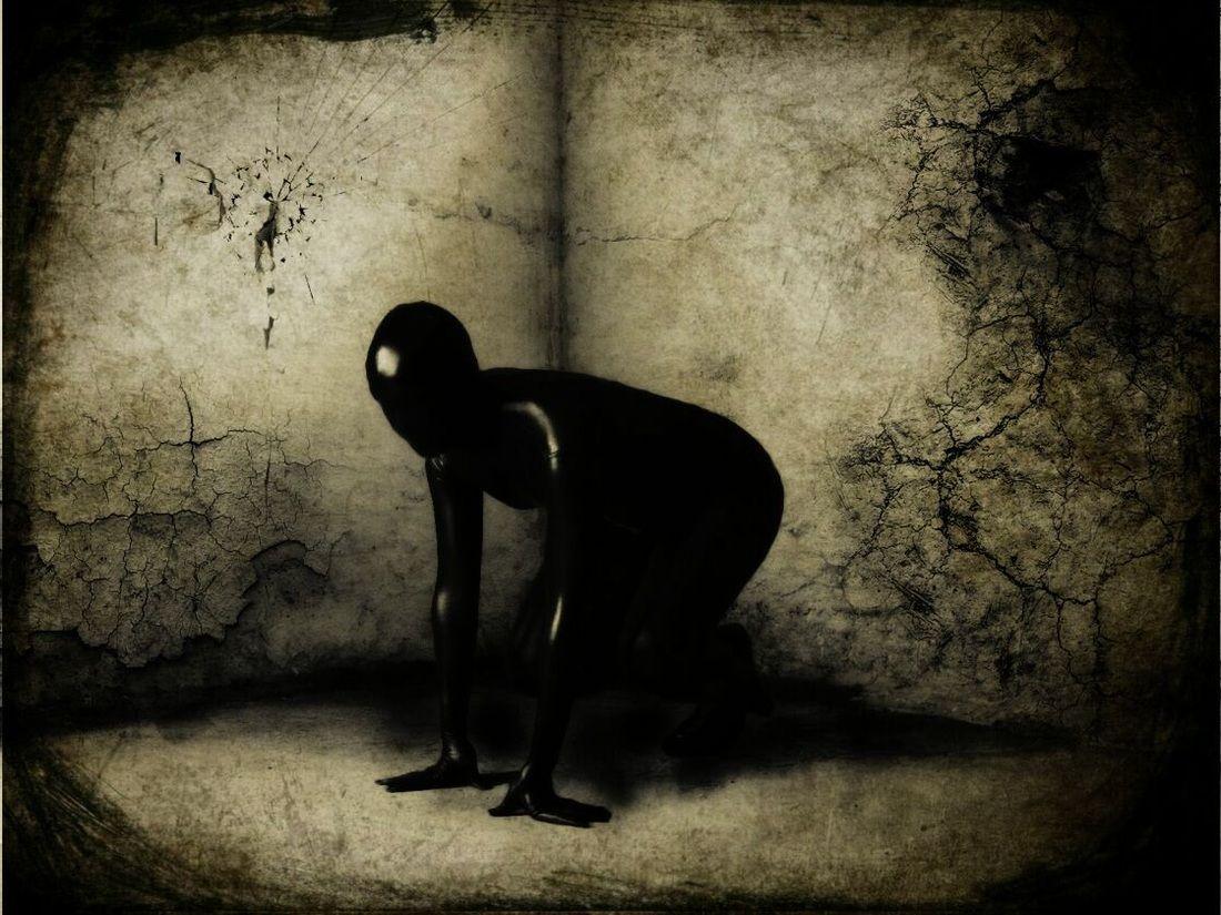 Metamorphosis Wallpapers - Top Free Metamorphosis Backgrounds ...