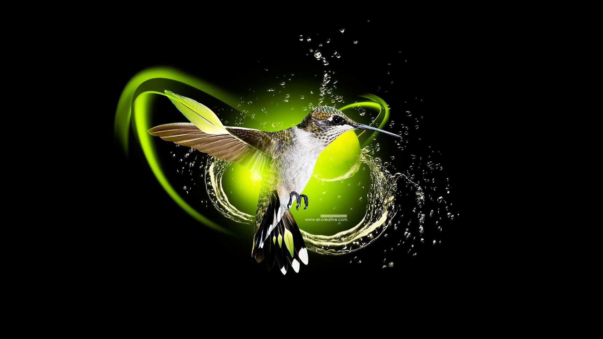 Metamorphosis Wallpapers - Top Free Metamorphosis Backgrounds ...