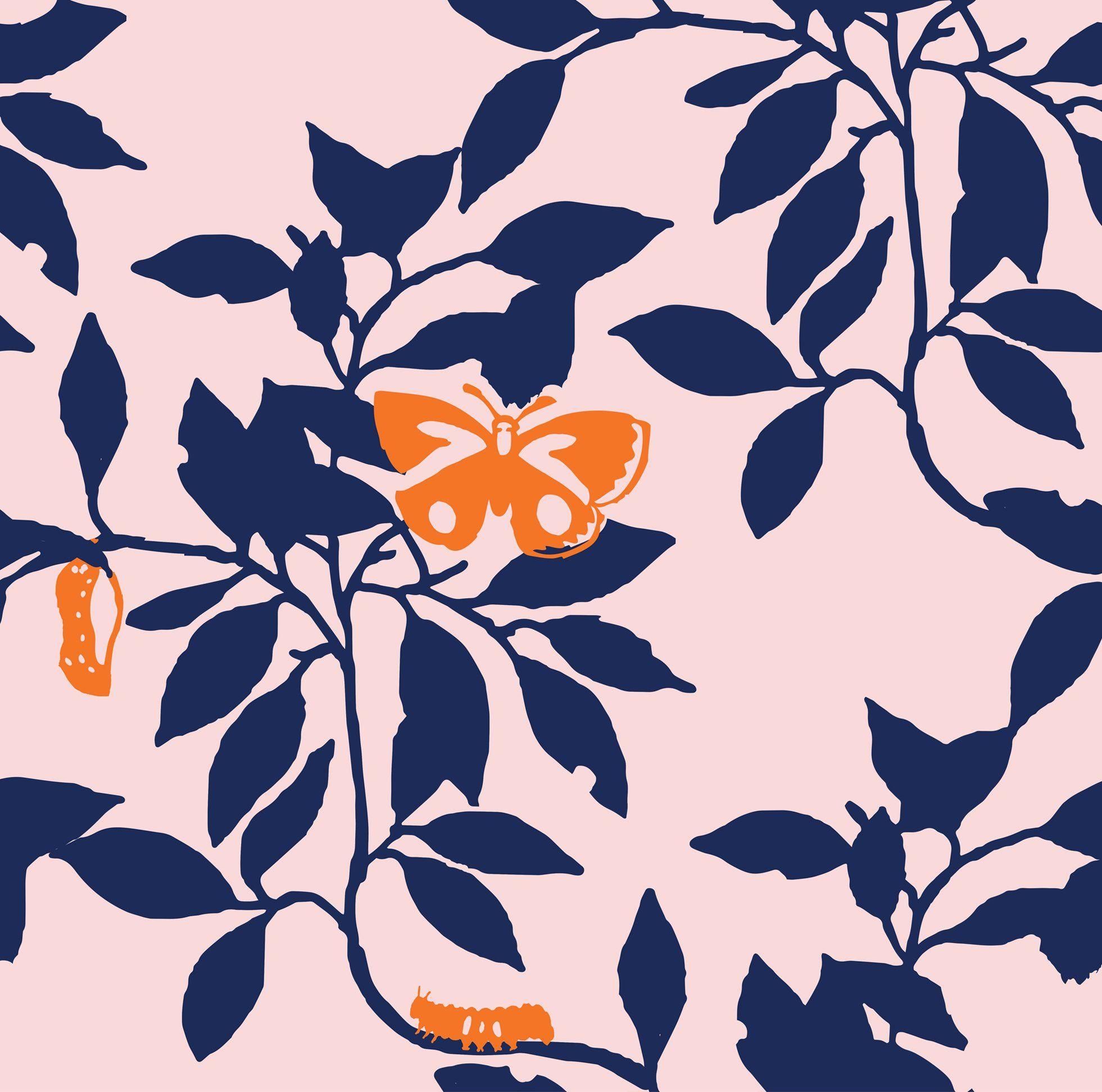 Metamorphosis Wallpapers - Top Free Metamorphosis Backgrounds ...