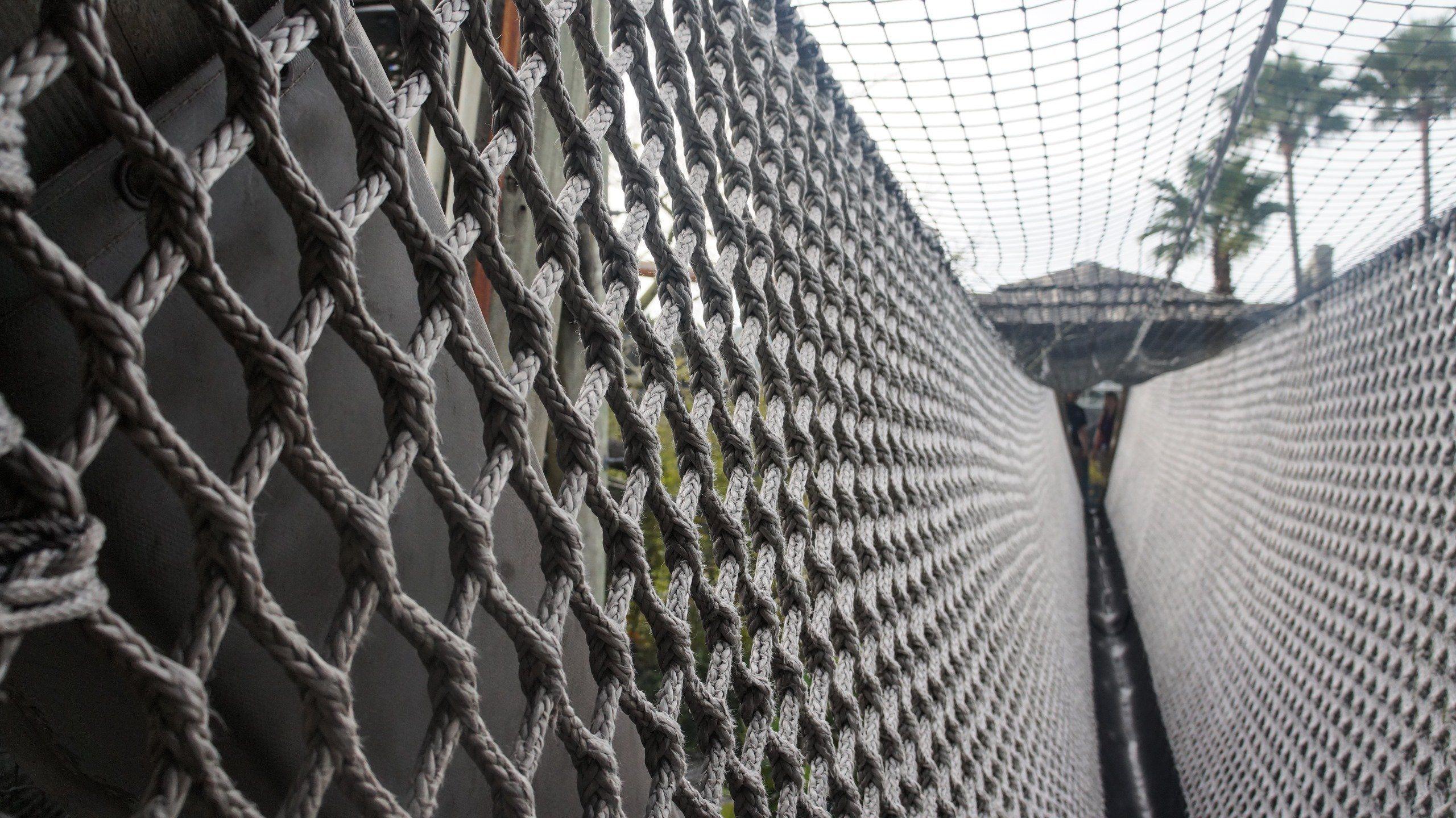 Obstacle Wallpapers - Top Free Obstacle Backgrounds - WallpaperAccess