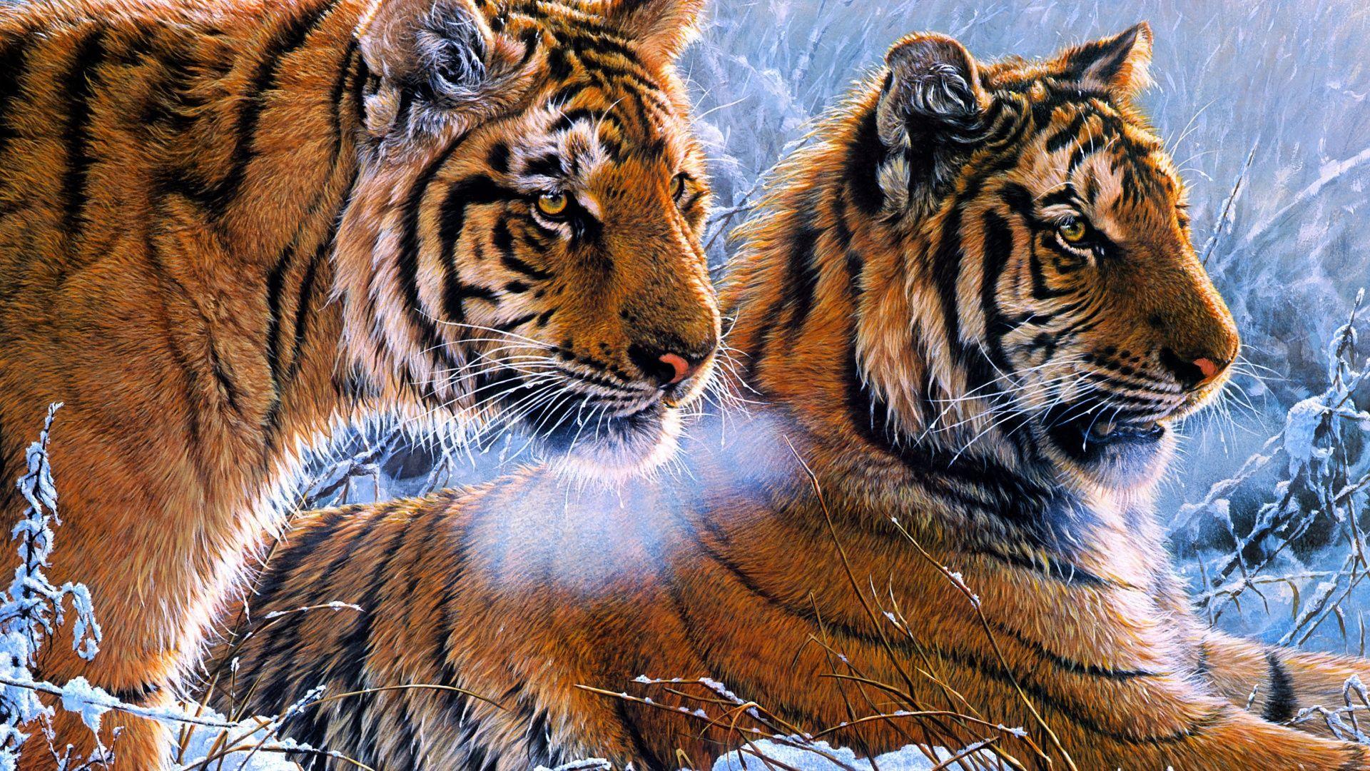 4K Tiger Wallpapers - Top Free 4K Tiger Backgrounds - WallpaperAccess