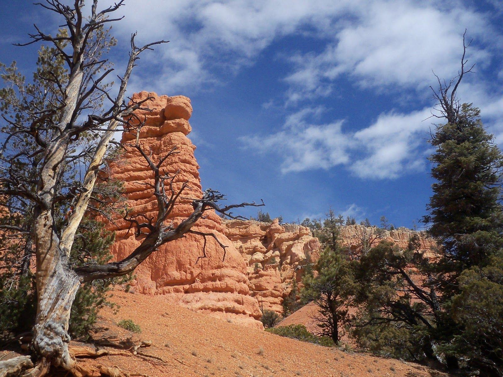 South West Desert Wallpapers - Top Free South West Desert Backgrounds ...