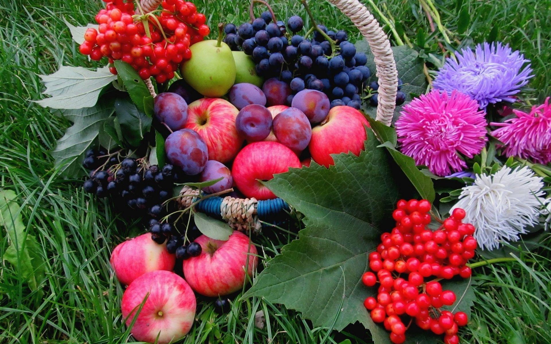 Fruits and Vegetables High Resolution Wallpapers - Top Free Fruits and ...