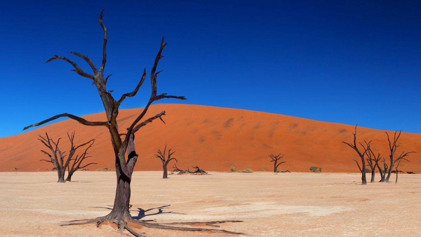 South West Desert Wallpapers - Top Free South West Desert Backgrounds ...