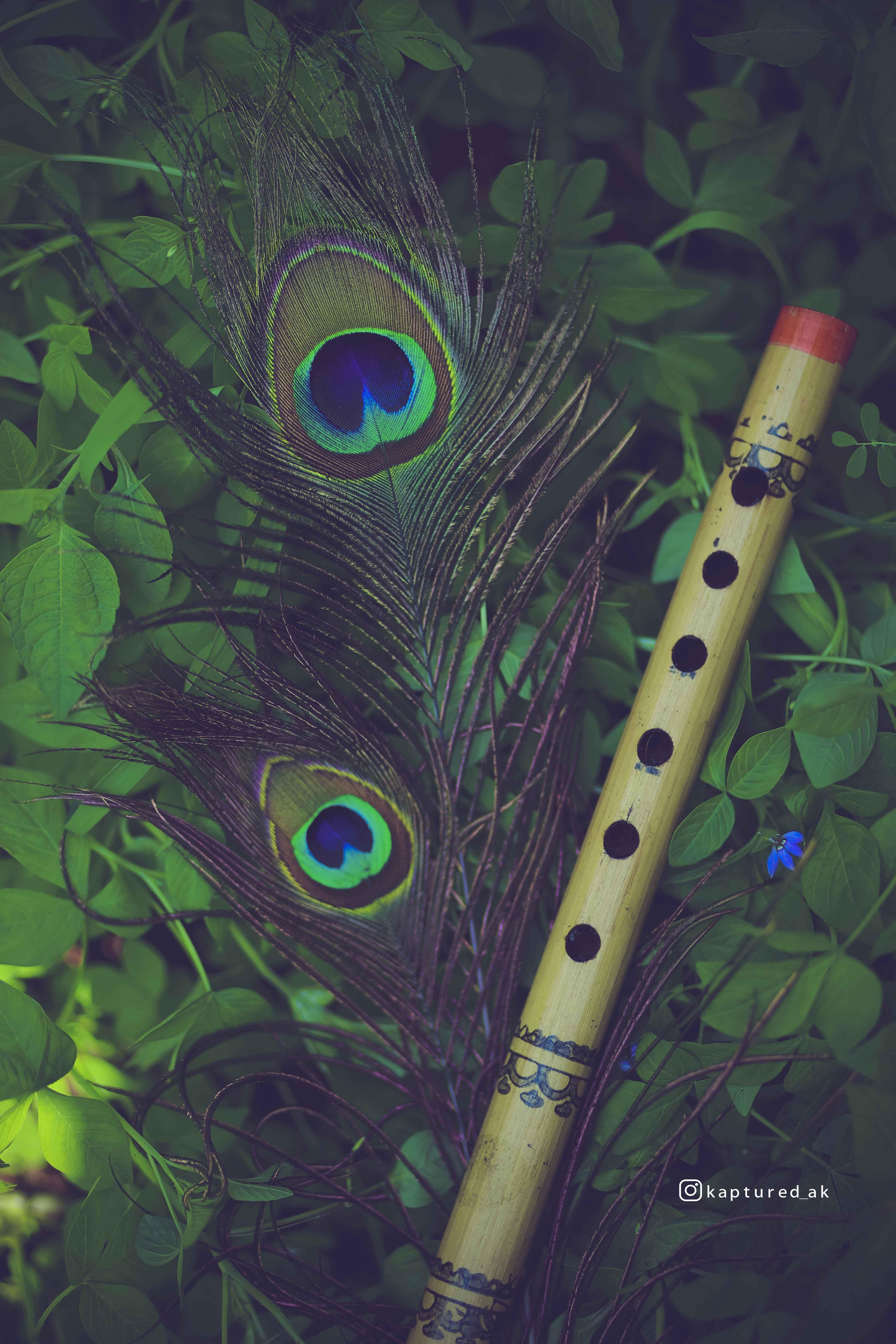 Bamboo Flute Wallpapers - Top Free Bamboo Flute Backgrounds ...