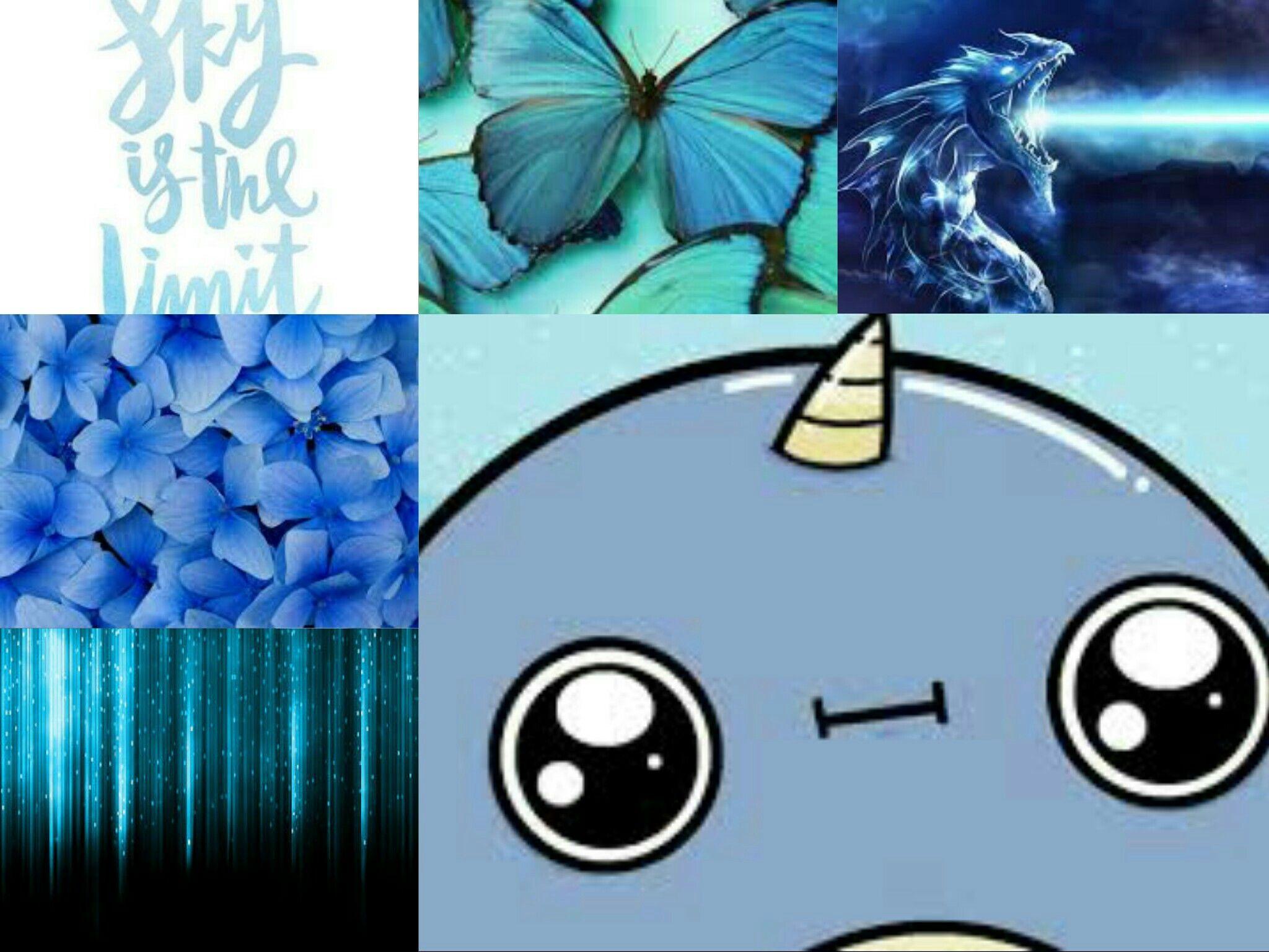 Cute Narwhal Wallpapers - Top Free Cute Narwhal Backgrounds ...