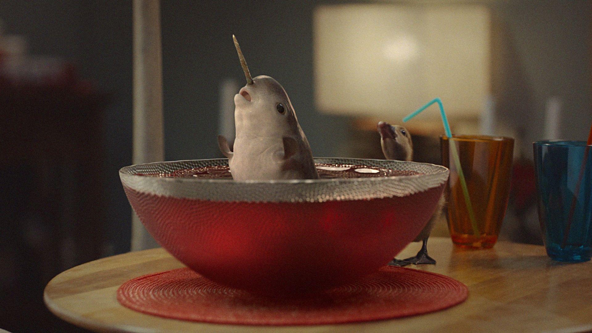 Cute Narwhal Wallpapers - Top Free Cute Narwhal Backgrounds ...