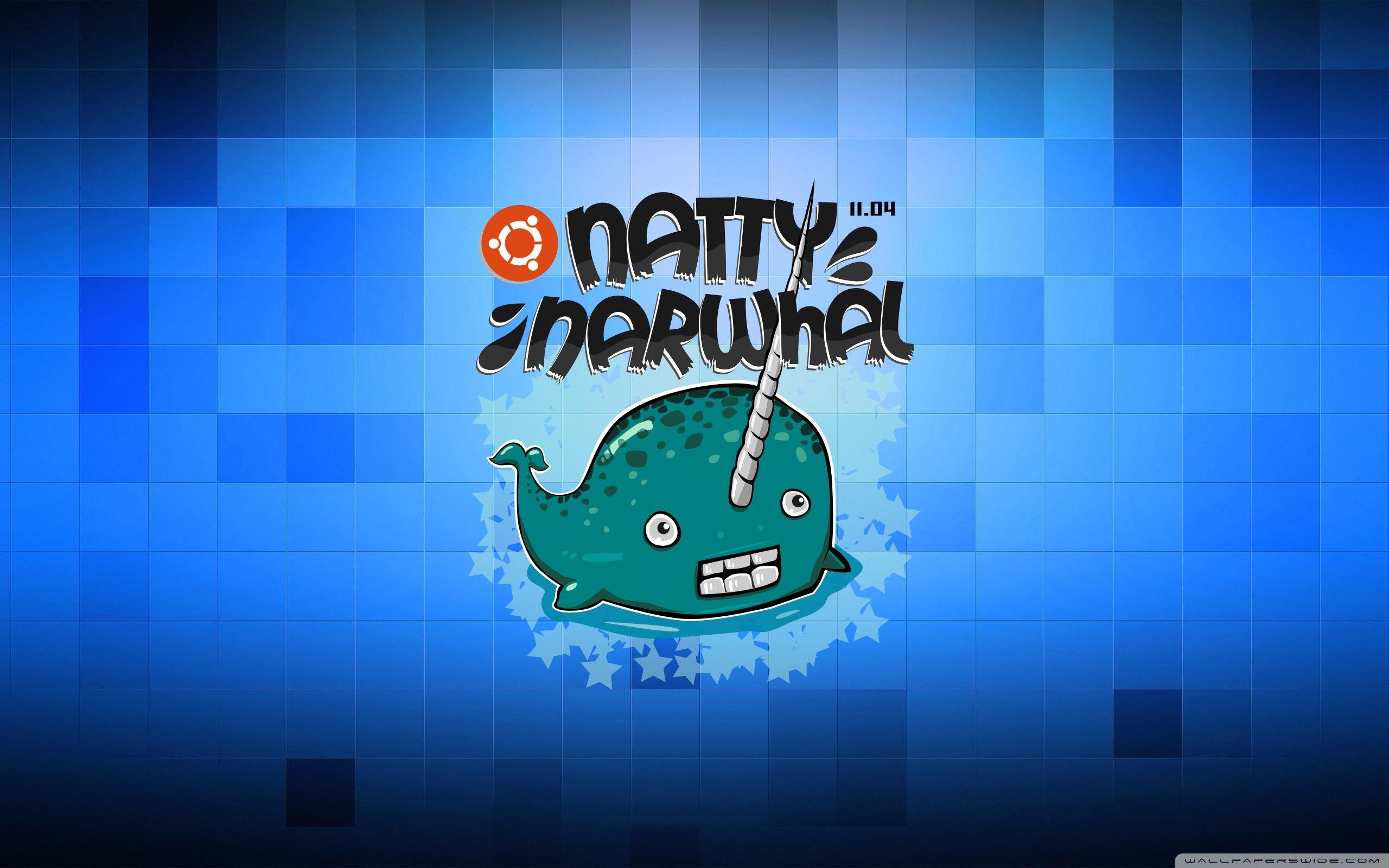 Cute Narwhal Wallpapers - Top Free Cute Narwhal Backgrounds ...