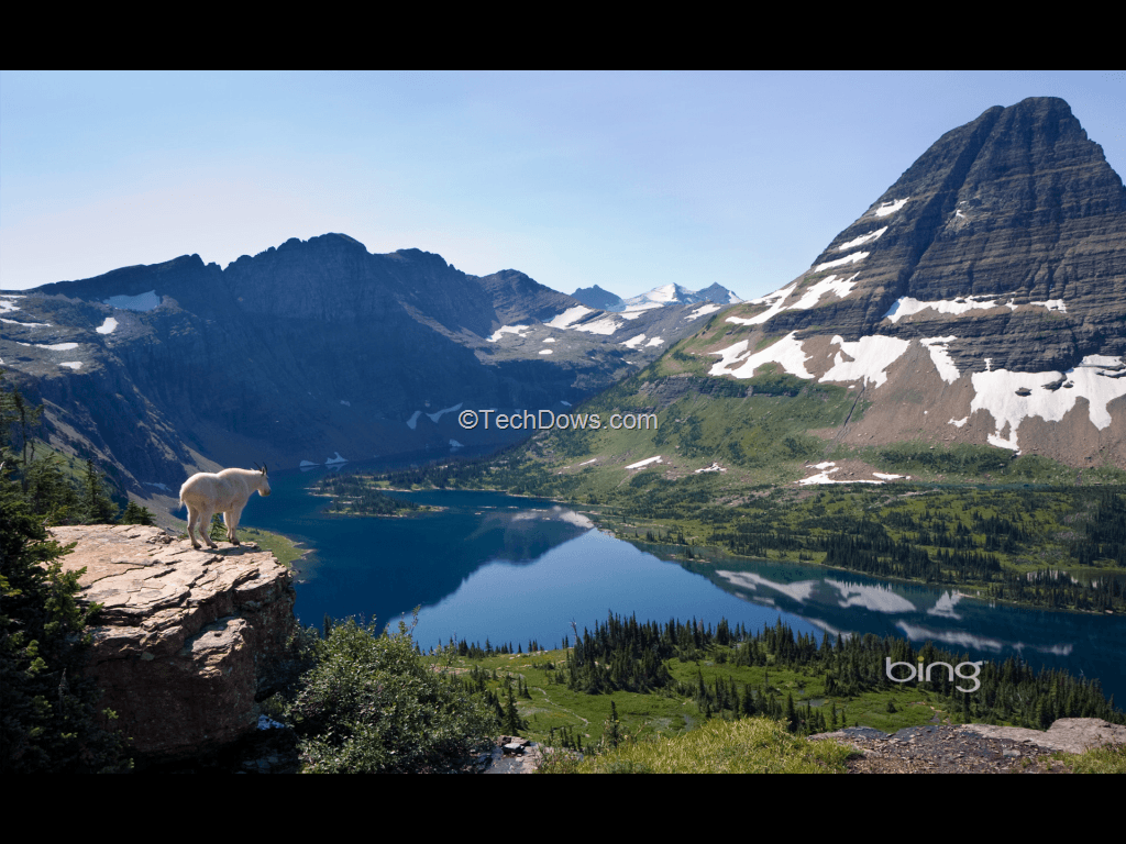 Bing Desktop Not Changing Wallpapers - Top Free Bing Desktop Not ...