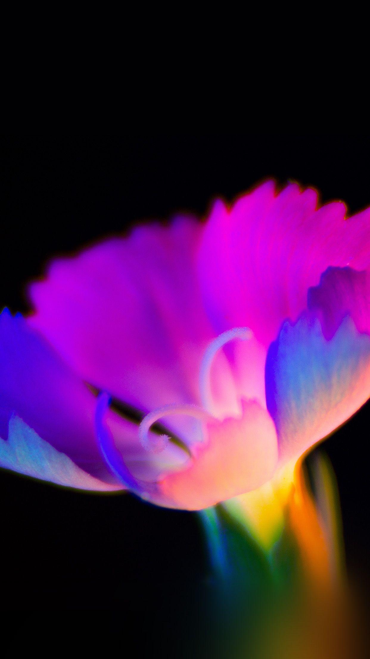 Neon Color iPhone Wallpapers - Top Free Neon Color iPhone Backgrounds ...