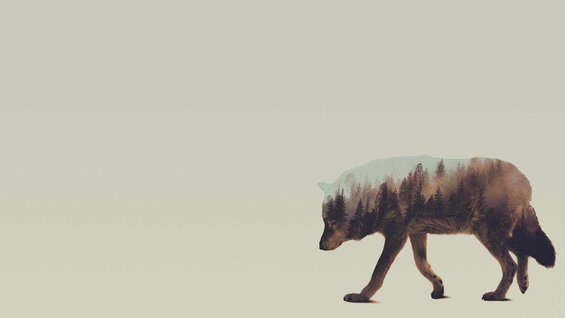 Wolf Art Wallpapers - Top Free Wolf Art Backgrounds - WallpaperAccess
