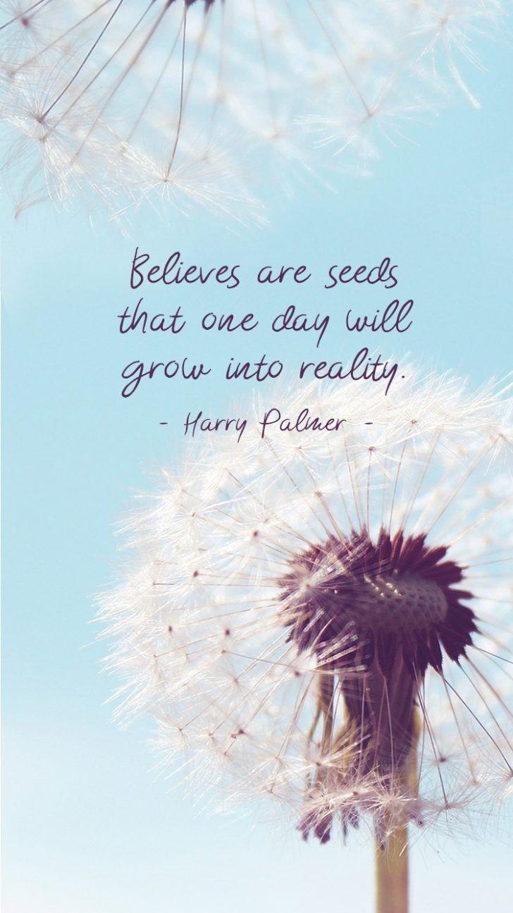 Peace Quotes Wallpapers - Top Free Peace Quotes Backgrounds ...