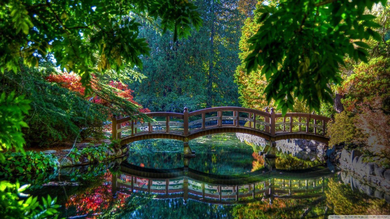 Peace HD 4K Wallpapers - Top Free Peace HD 4K Backgrounds - WallpaperAccess