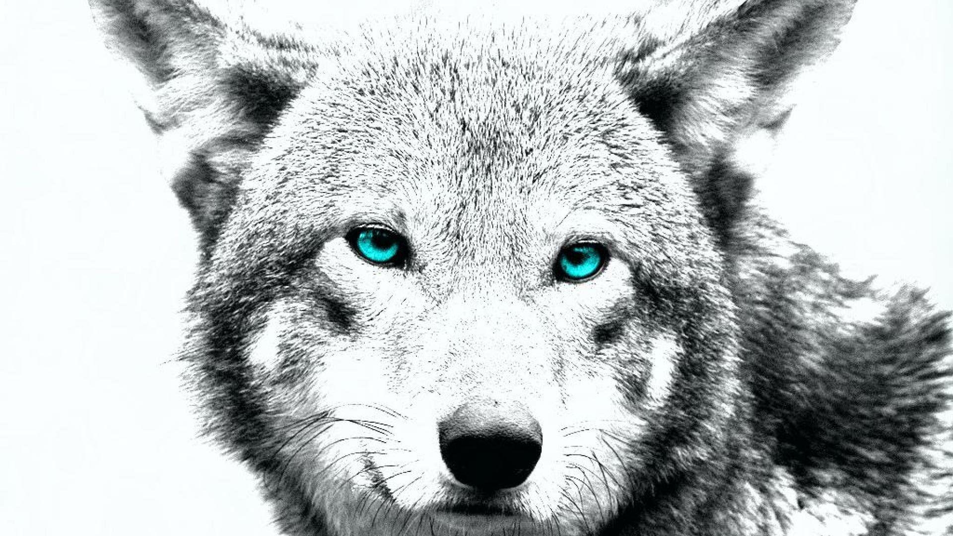 Wolf Art Wallpapers - Top Free Wolf Art Backgrounds - WallpaperAccess