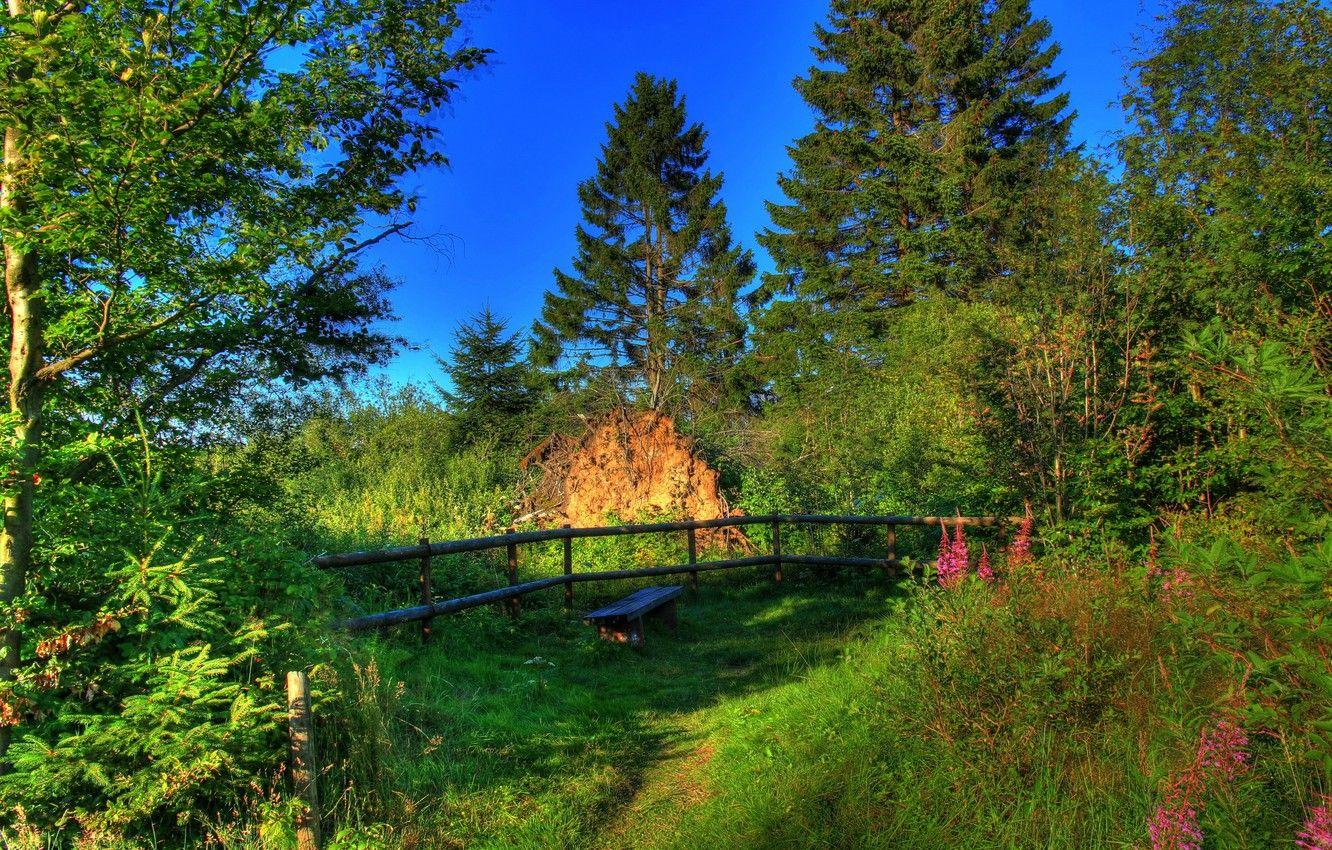 Hessen Wallpapers - Top Free Hessen Backgrounds - WallpaperAccess