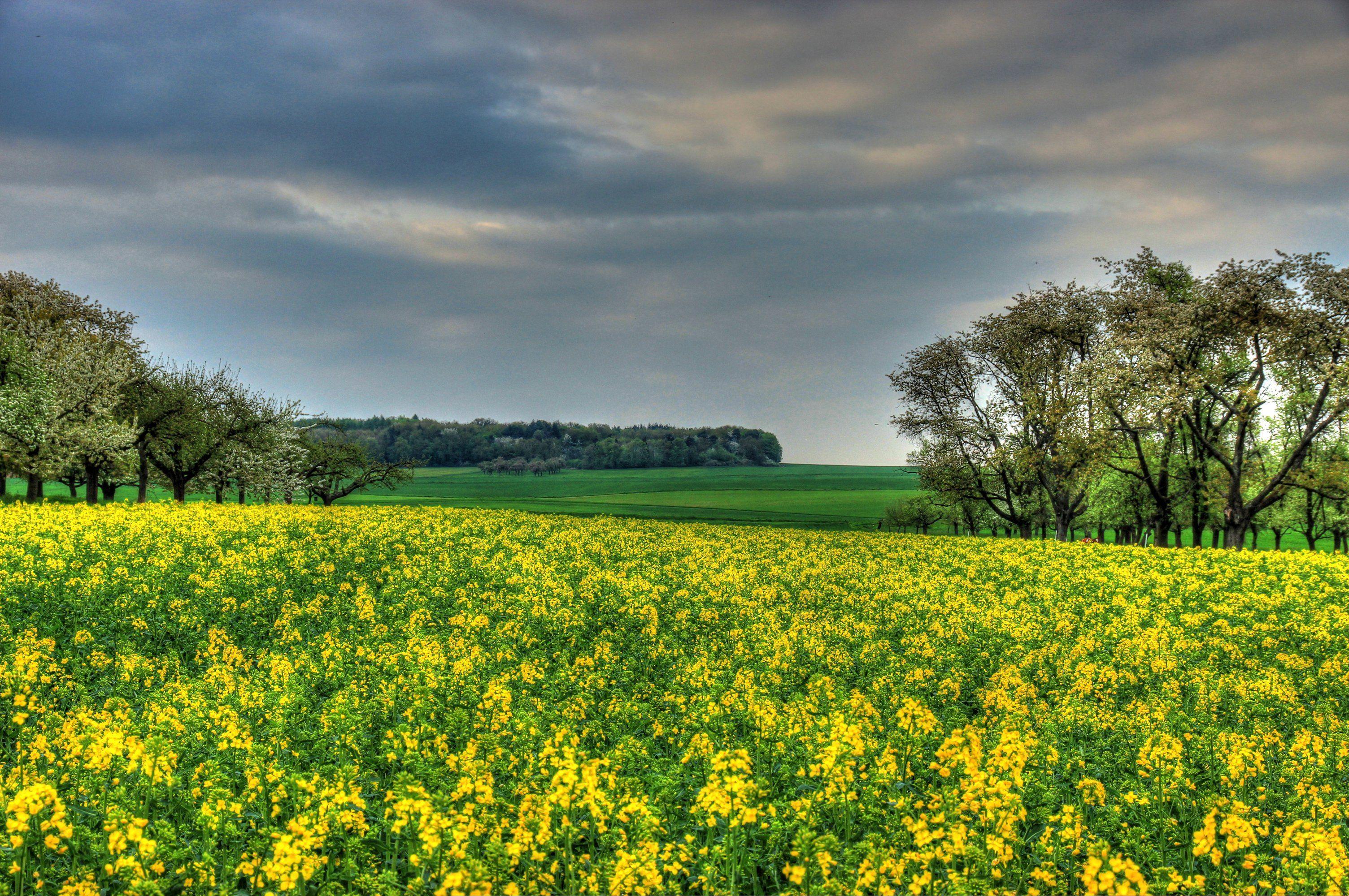 Hessen Wallpapers - Top Free Hessen Backgrounds - WallpaperAccess